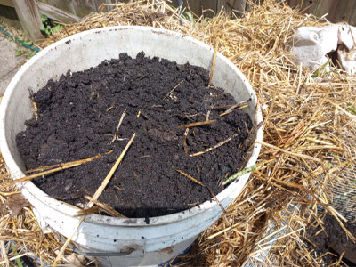 [Virtual] Composting for Beginners, December 9, 2025 6:30PM | Phipps ...