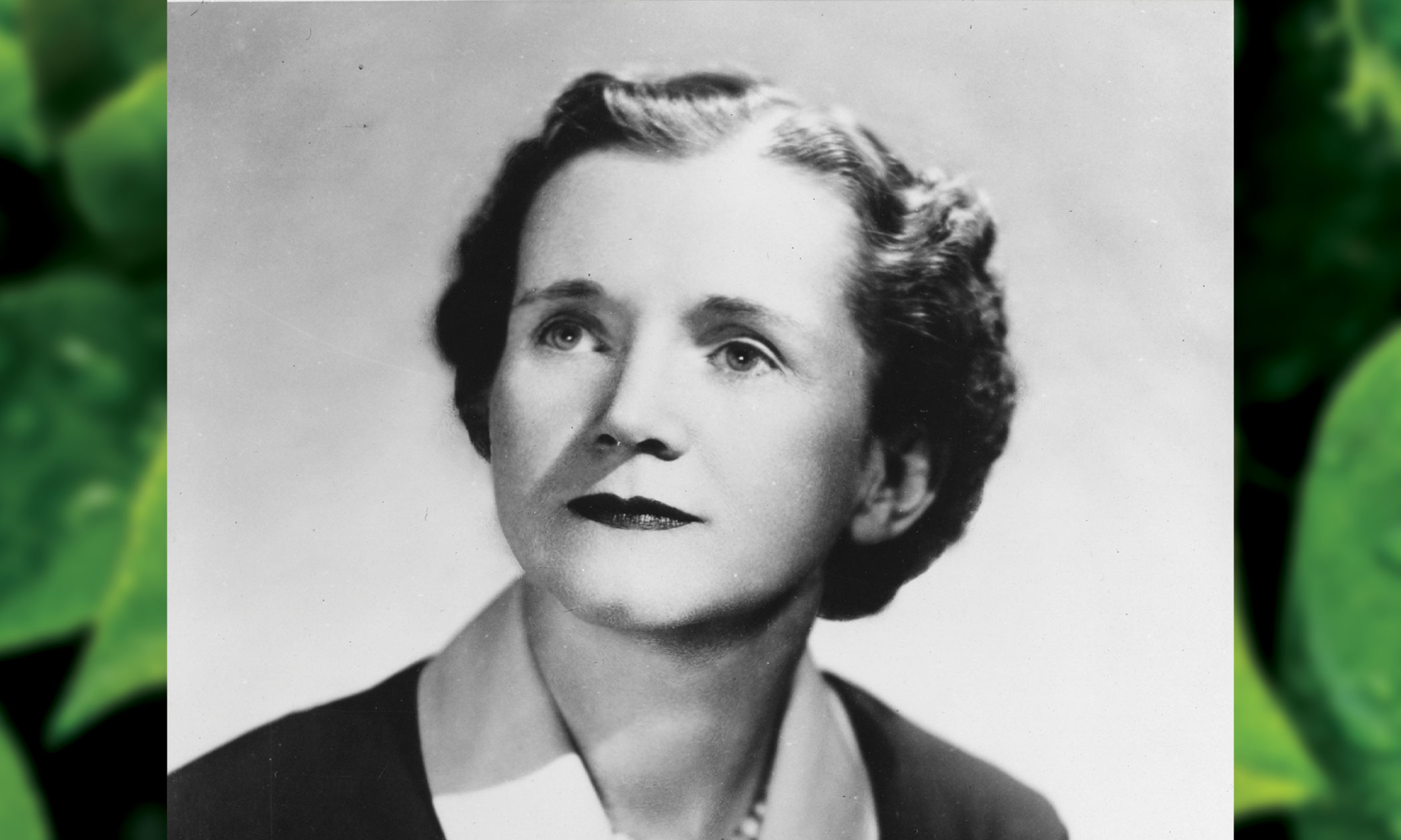 LGBTQIA+ Icons Protecting the Planet | Phipps Conservatory and ...