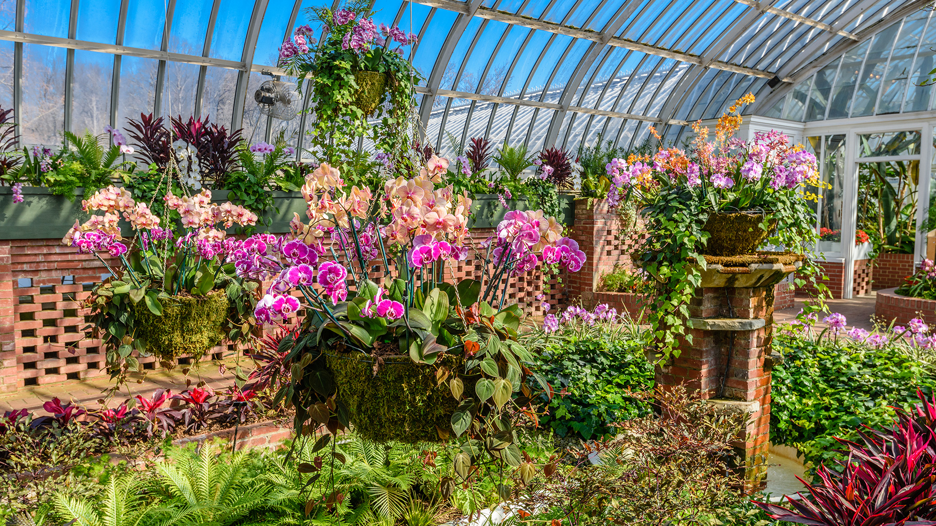 Desktop Wallpapers | Phipps Conservatory and Botanical Gardens ...