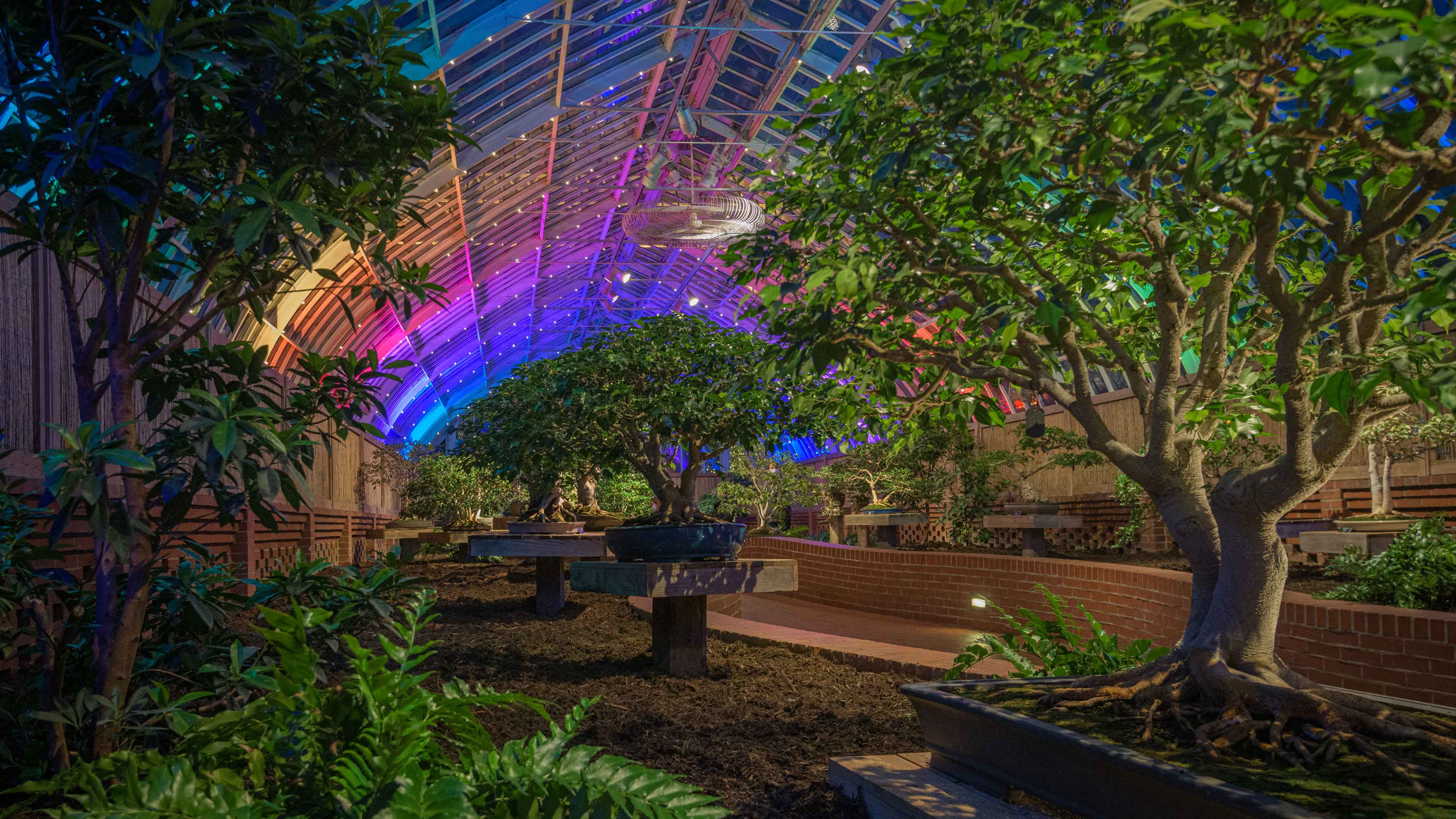 Desktop Wallpapers | Phipps Conservatory and Botanical Gardens ...