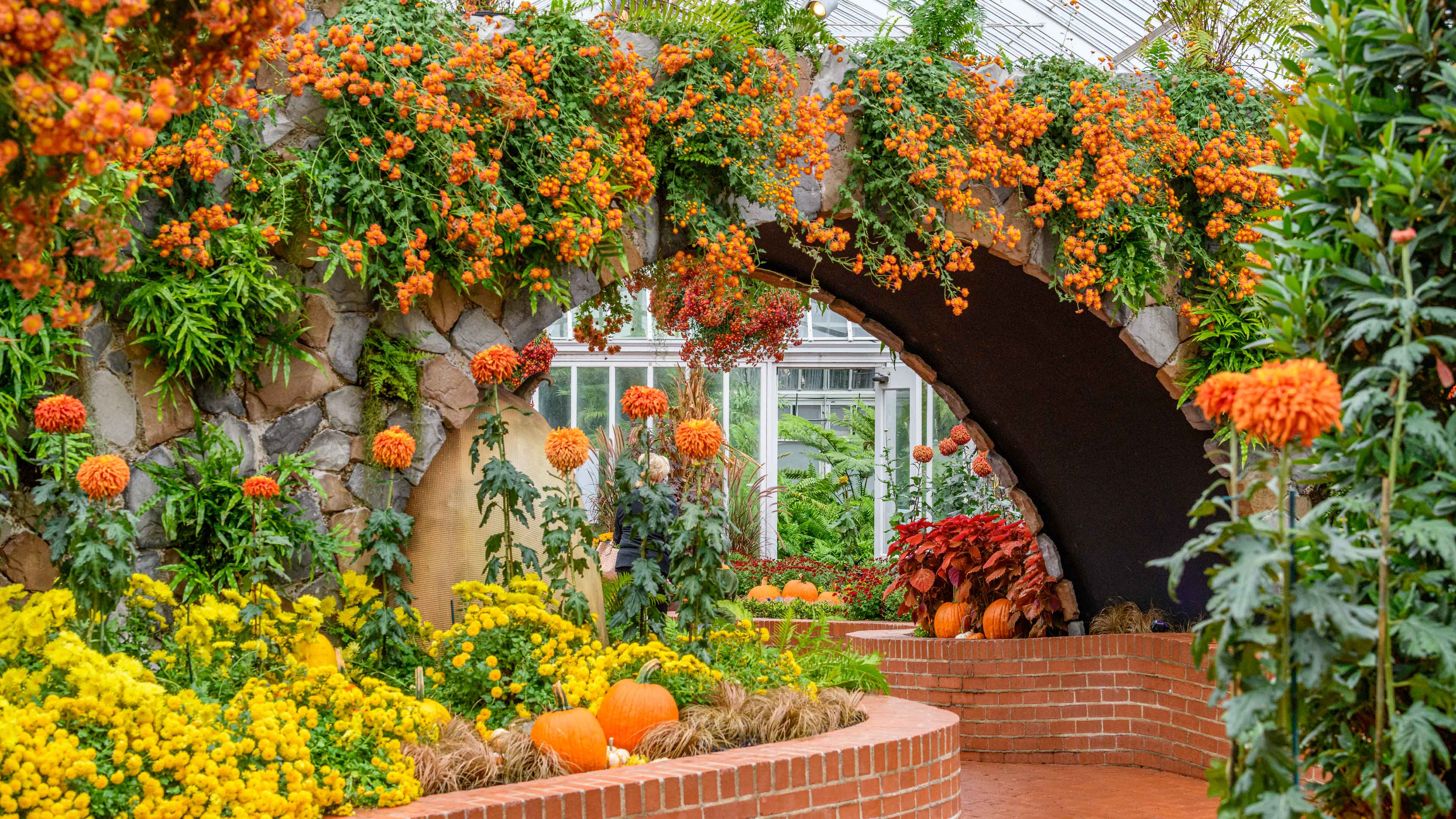 Desktop Wallpapers | Phipps Conservatory and Botanical Gardens ...