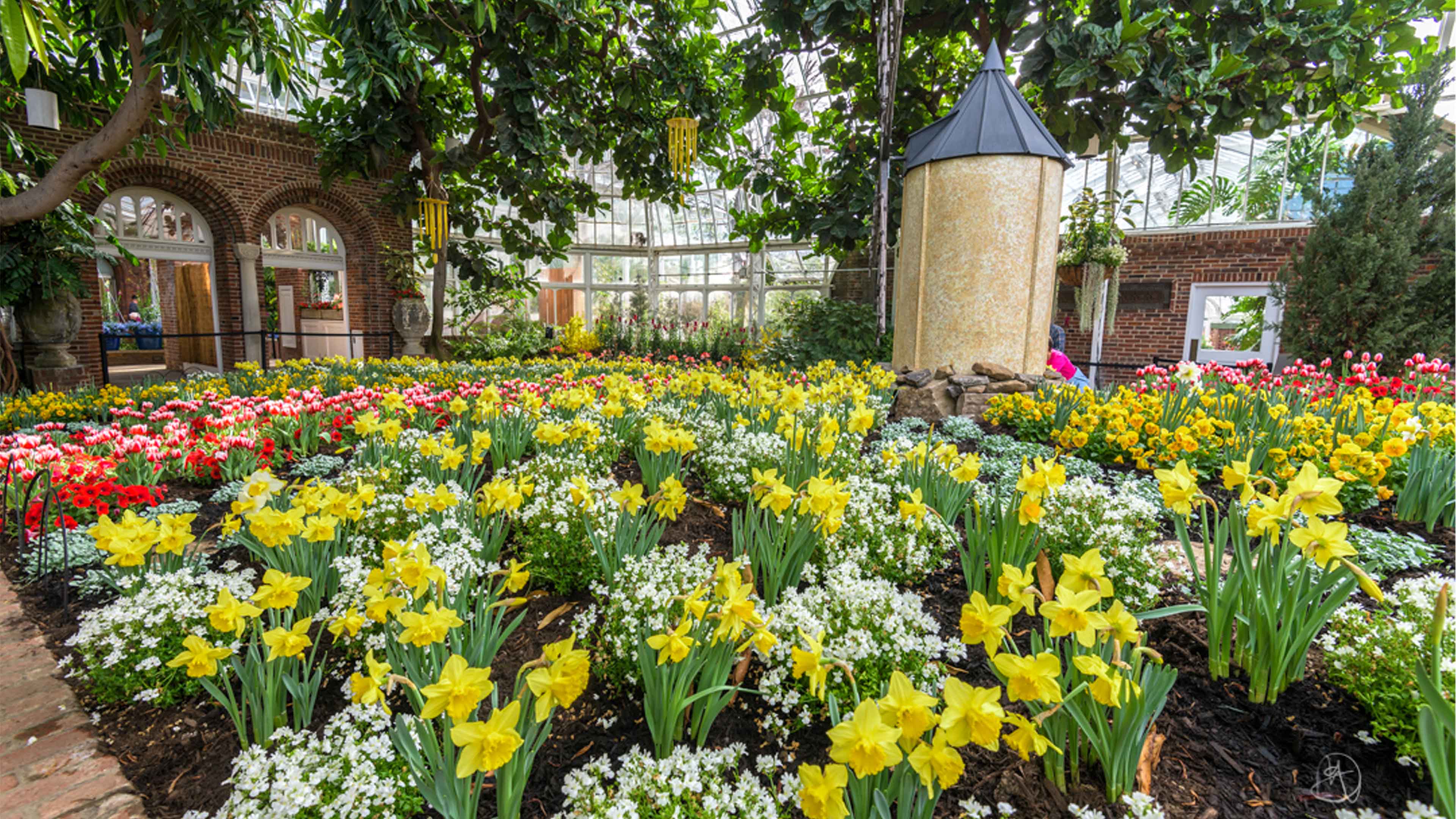 Desktop Wallpapers | Phipps Conservatory and Botanical Gardens ...