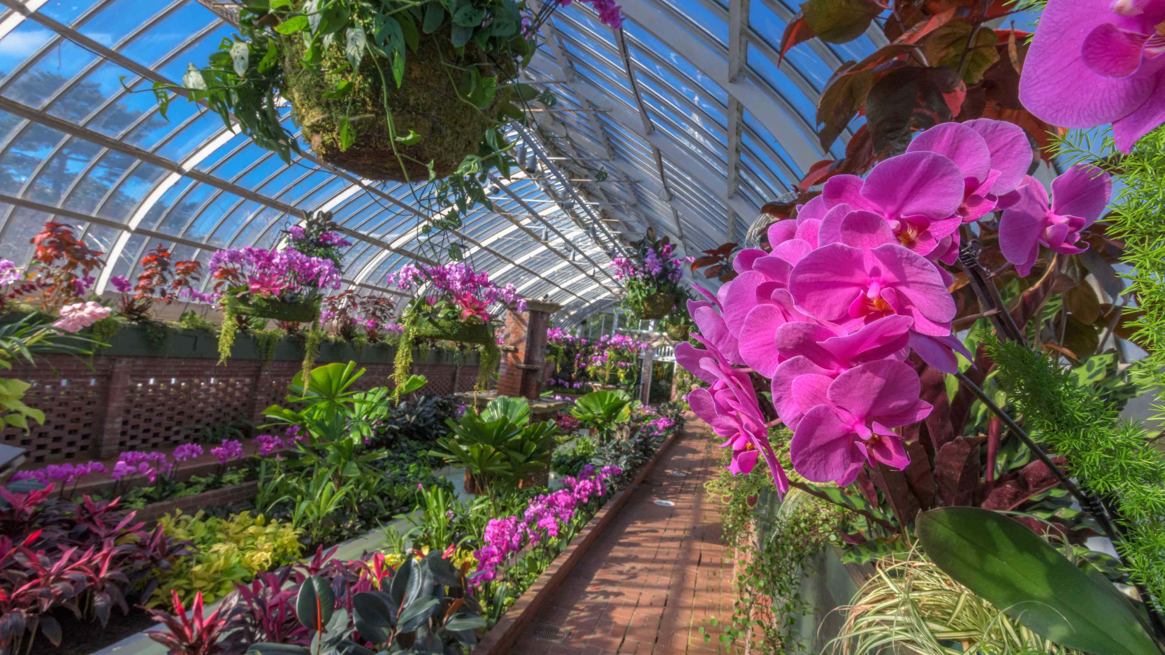 Desktop Wallpapers | Phipps Conservatory and Botanical Gardens ...
