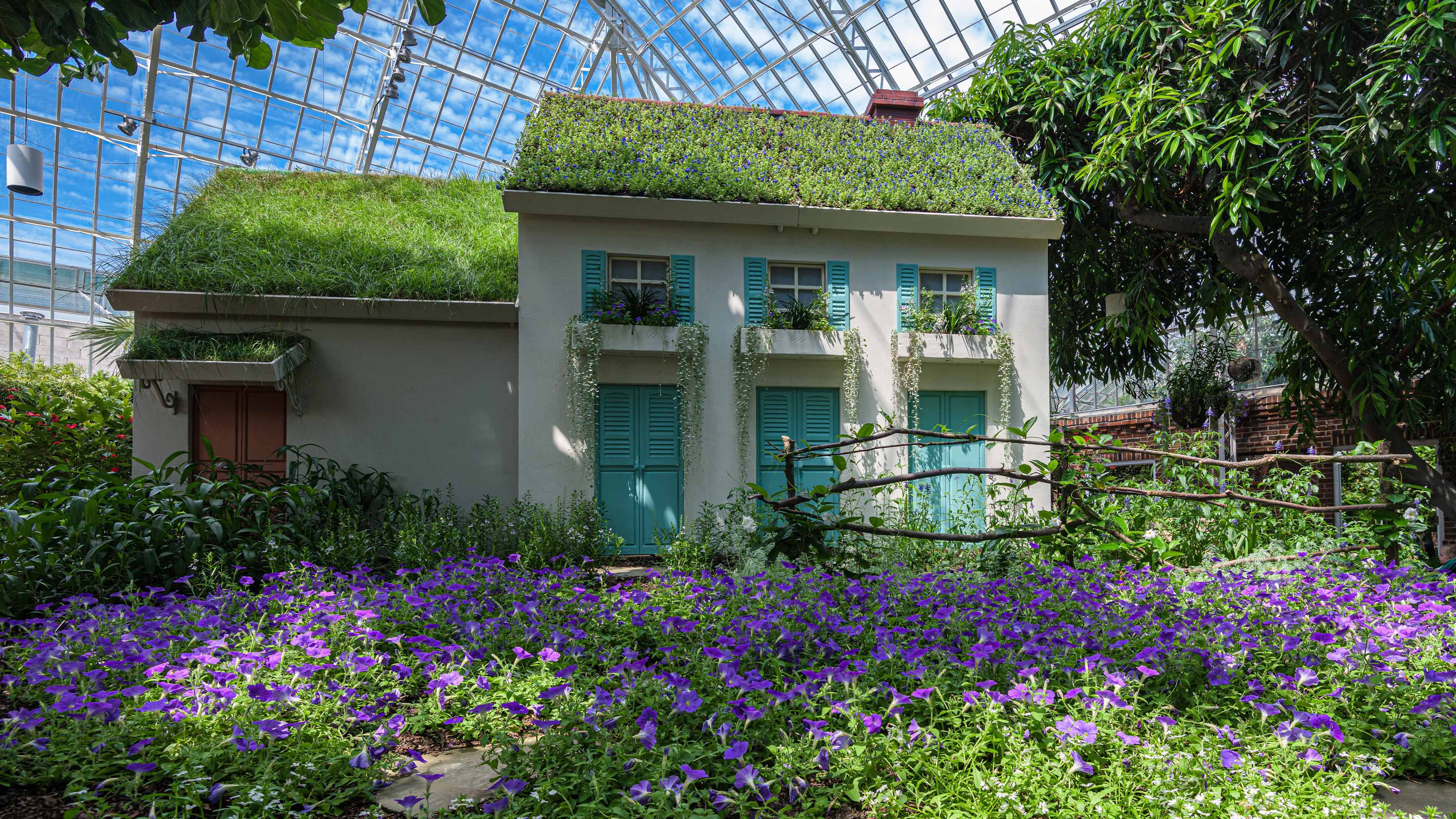 Desktop Wallpapers | Phipps Conservatory and Botanical Gardens ...