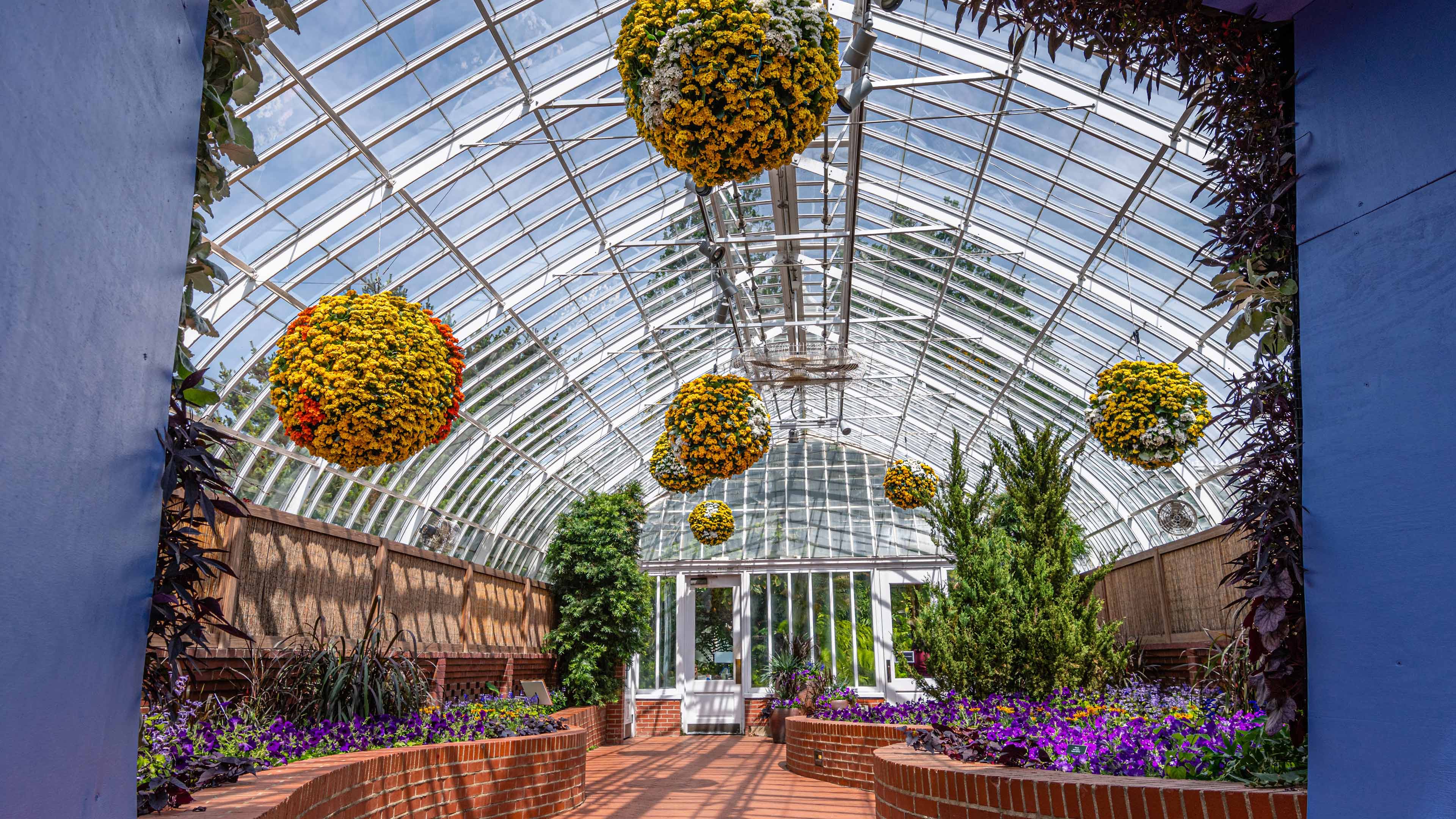 Desktop Wallpapers | Phipps Conservatory and Botanical Gardens ...