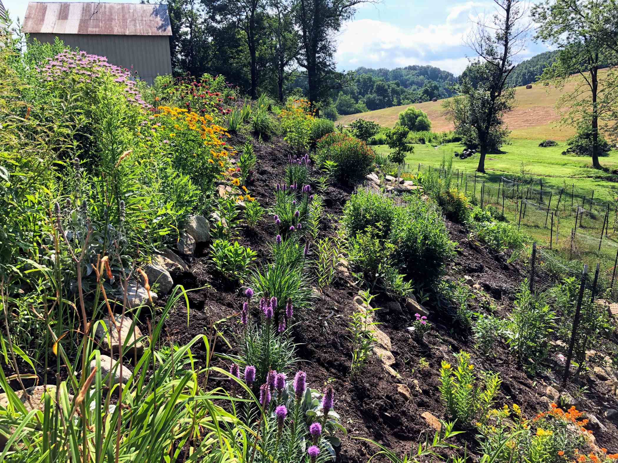 Sustainable Garden Gallery: Native Plantings and Wildlife Gardens ...