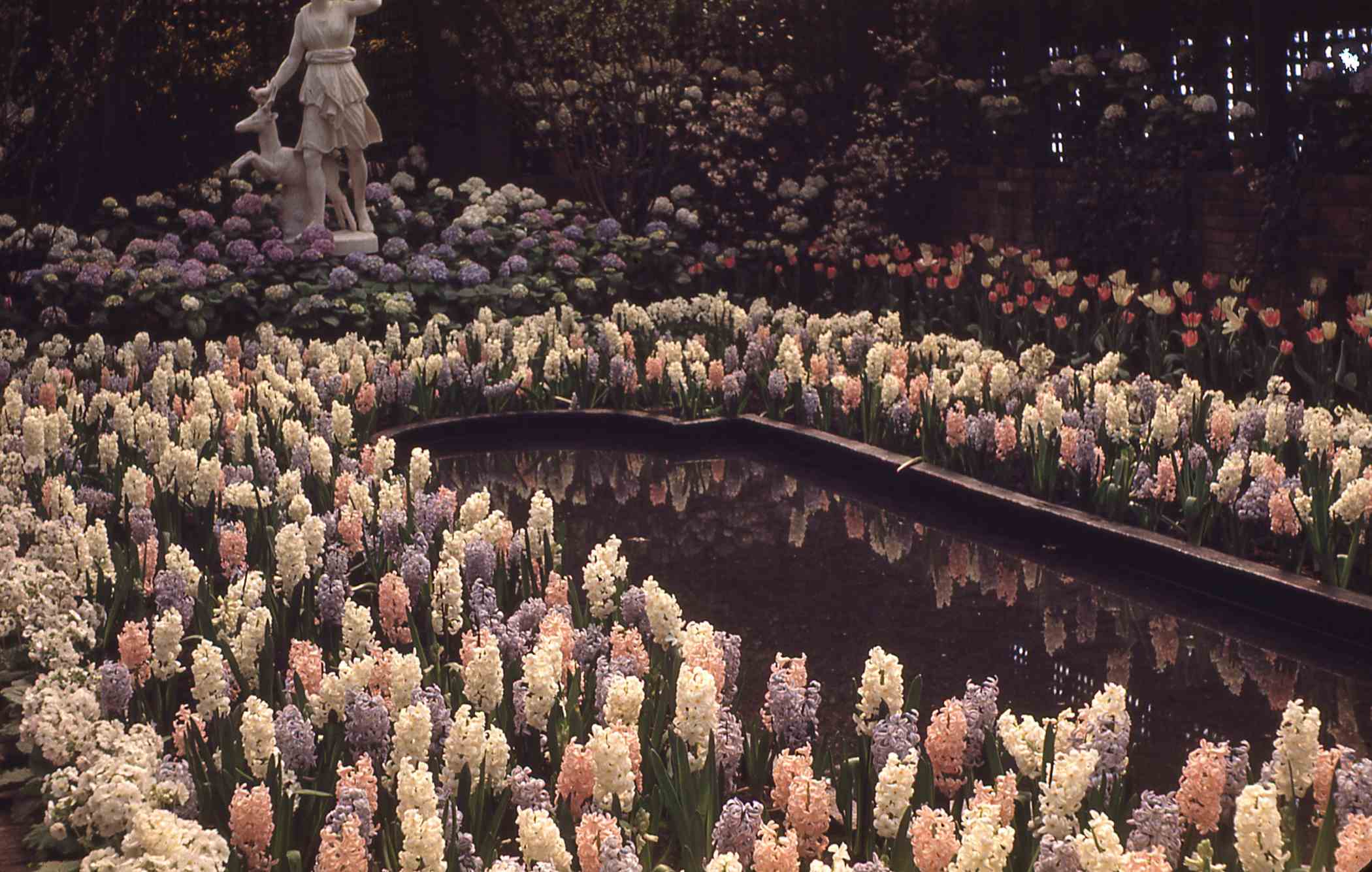 Spring Flower Show 1947 | Phipps Conservatory and Botanical Gardens ...