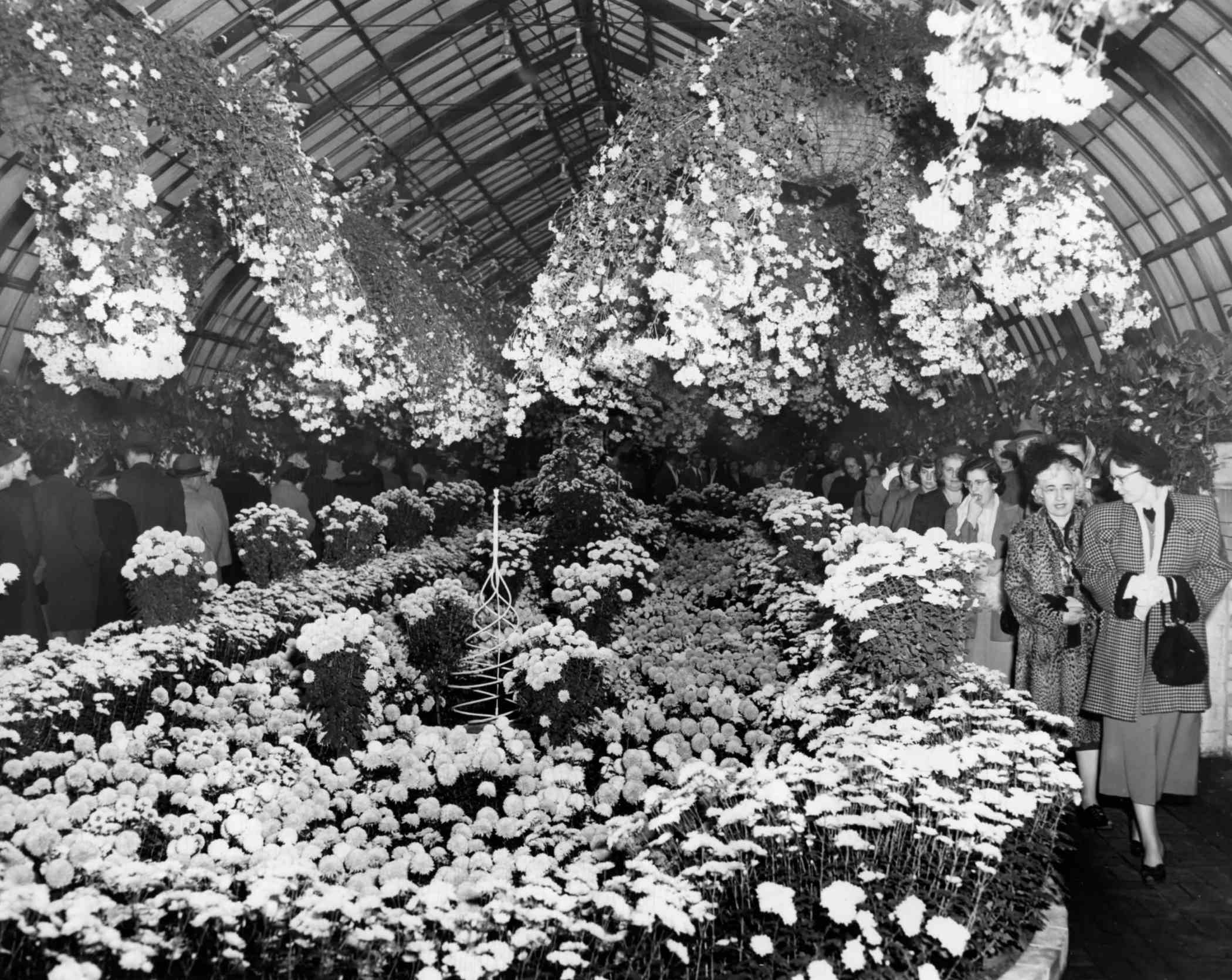 Fall Flower Show 1949 | Phipps Conservatory and Botanical Gardens ...