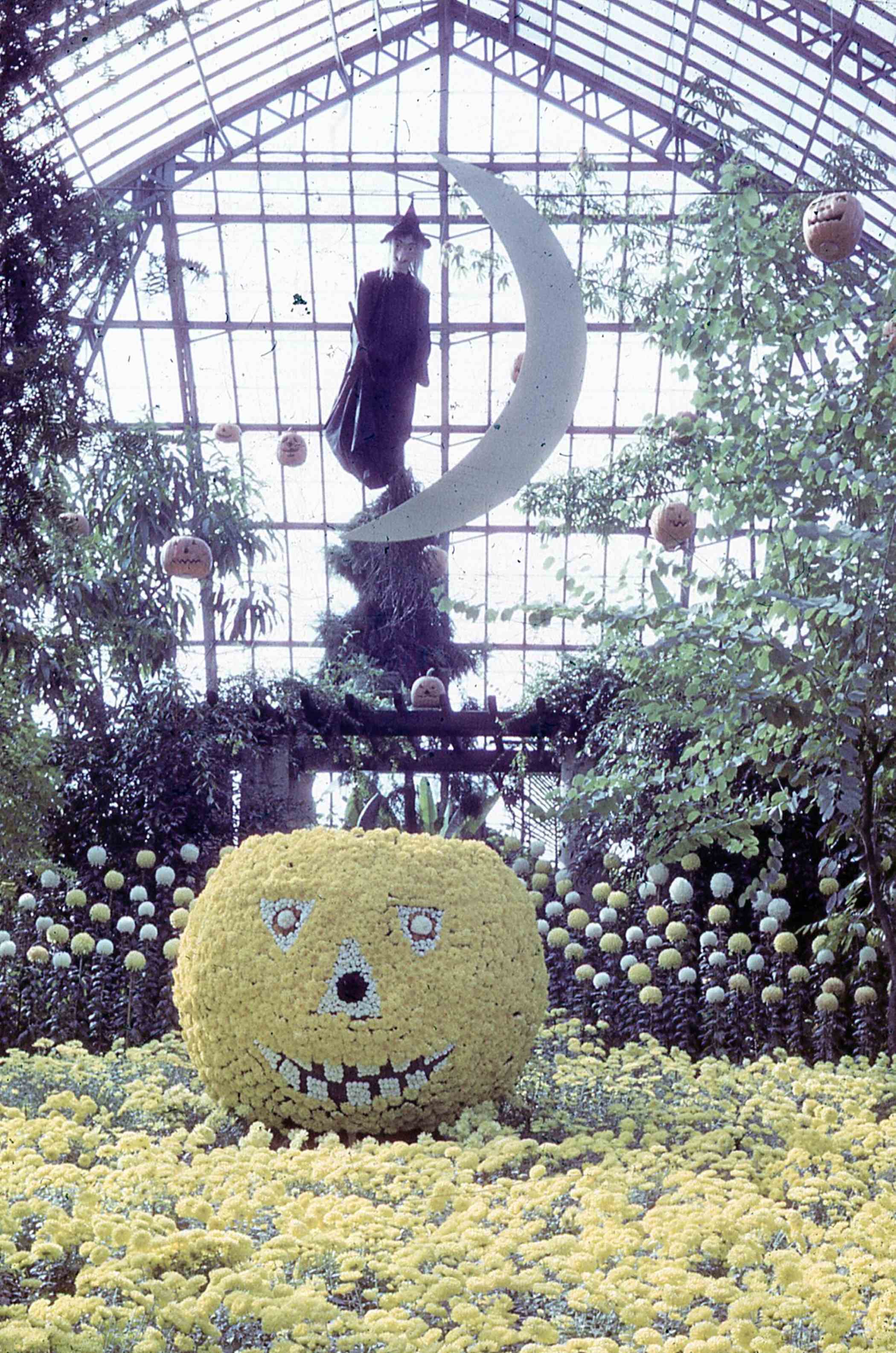 Fall Flower Show 1949 | Phipps Conservatory and Botanical Gardens ...