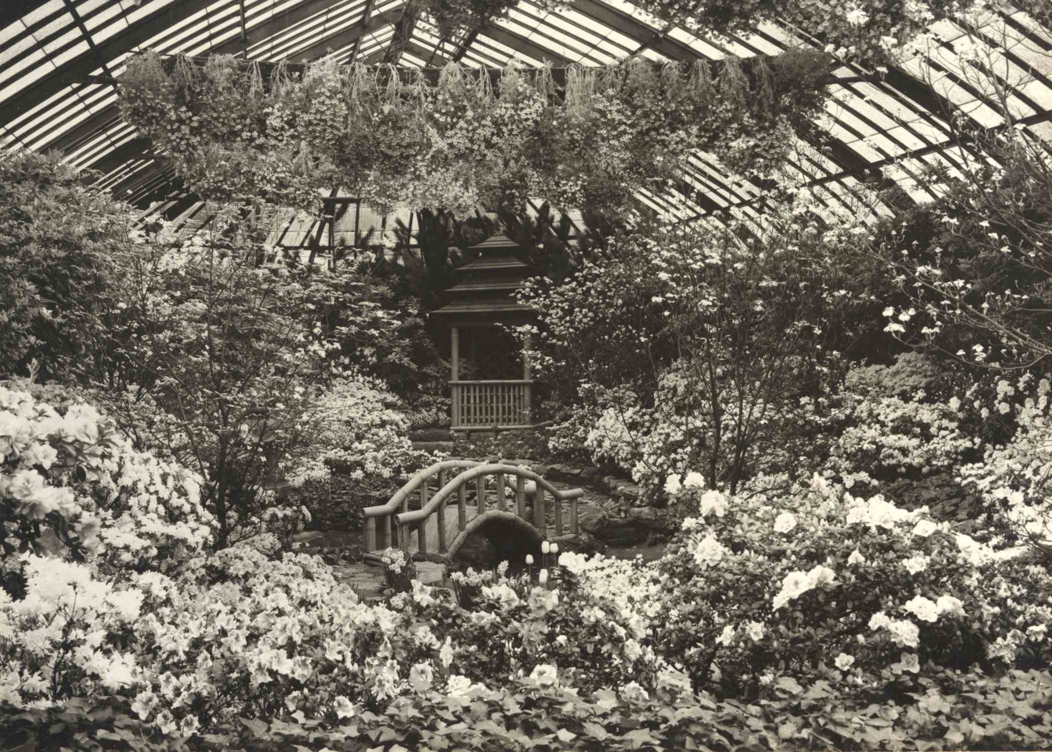 Spring Flower Show 1950 | Phipps Conservatory and Botanical Gardens ...