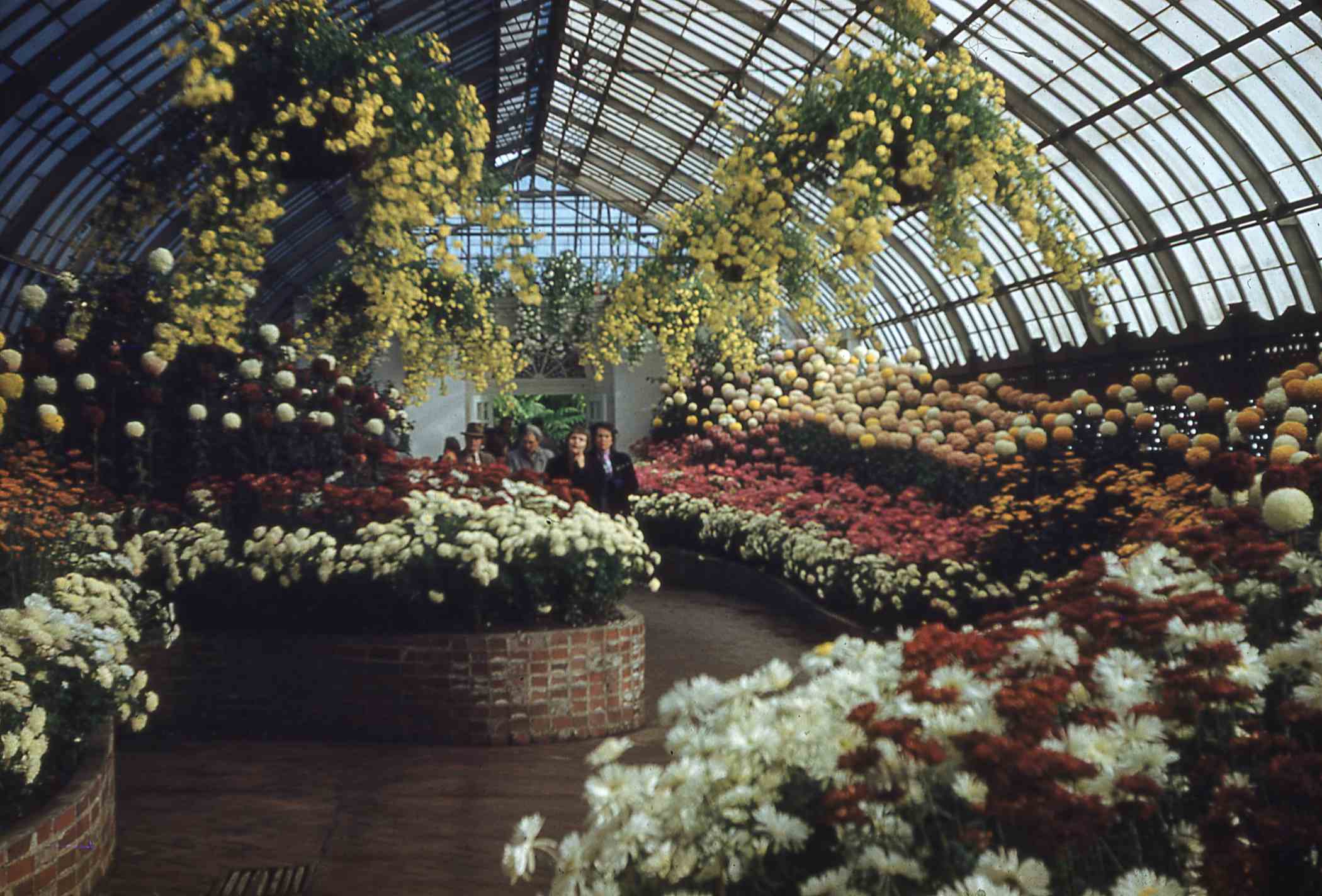 Fall Flower Show 1950 | Phipps Conservatory and Botanical Gardens ...