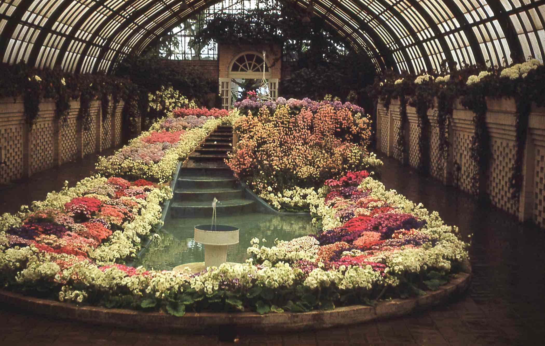 Spring Flower Show 1950 | Phipps Conservatory and Botanical Gardens ...