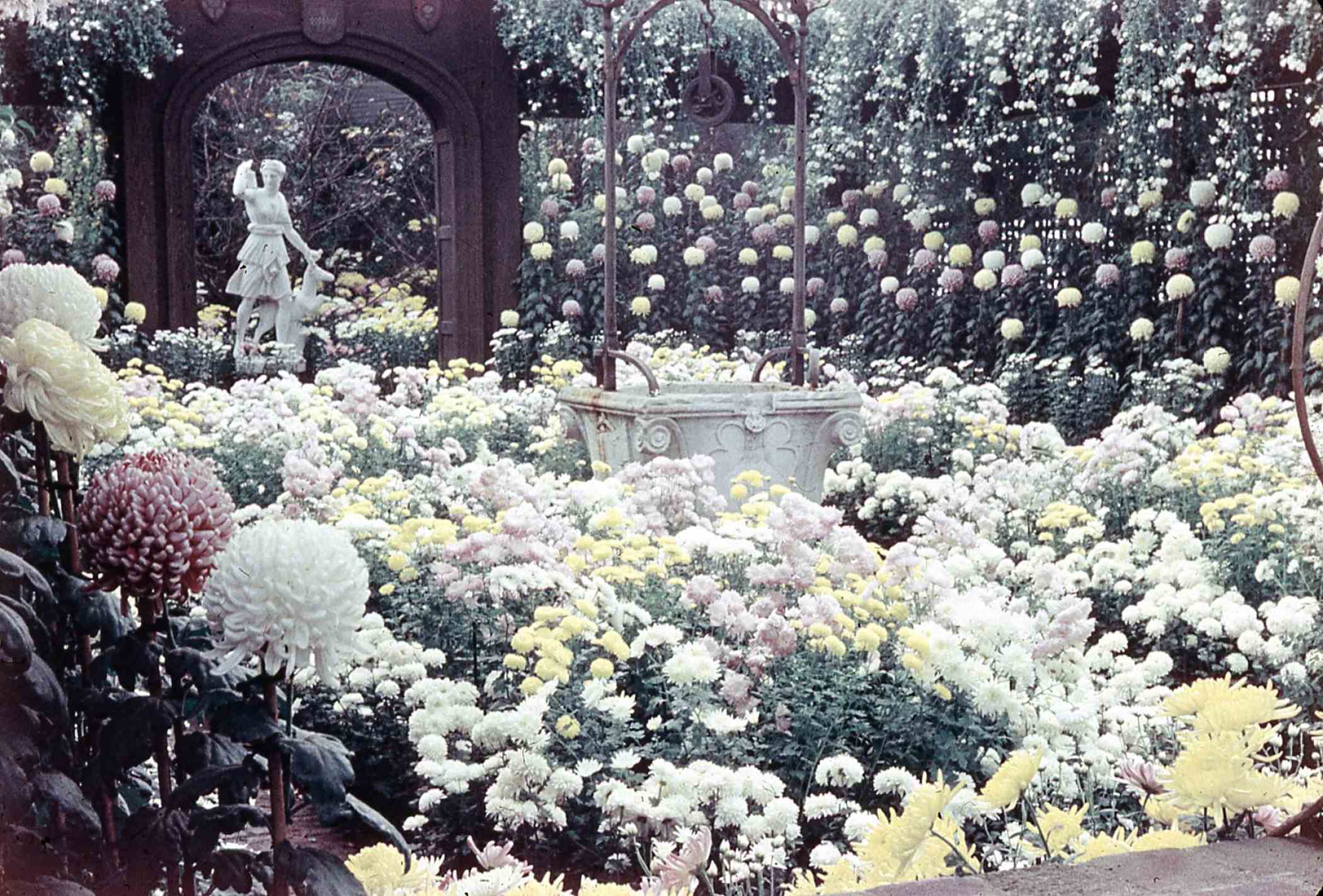 Fall Flower Show 1953 | Phipps Conservatory and Botanical Gardens ...