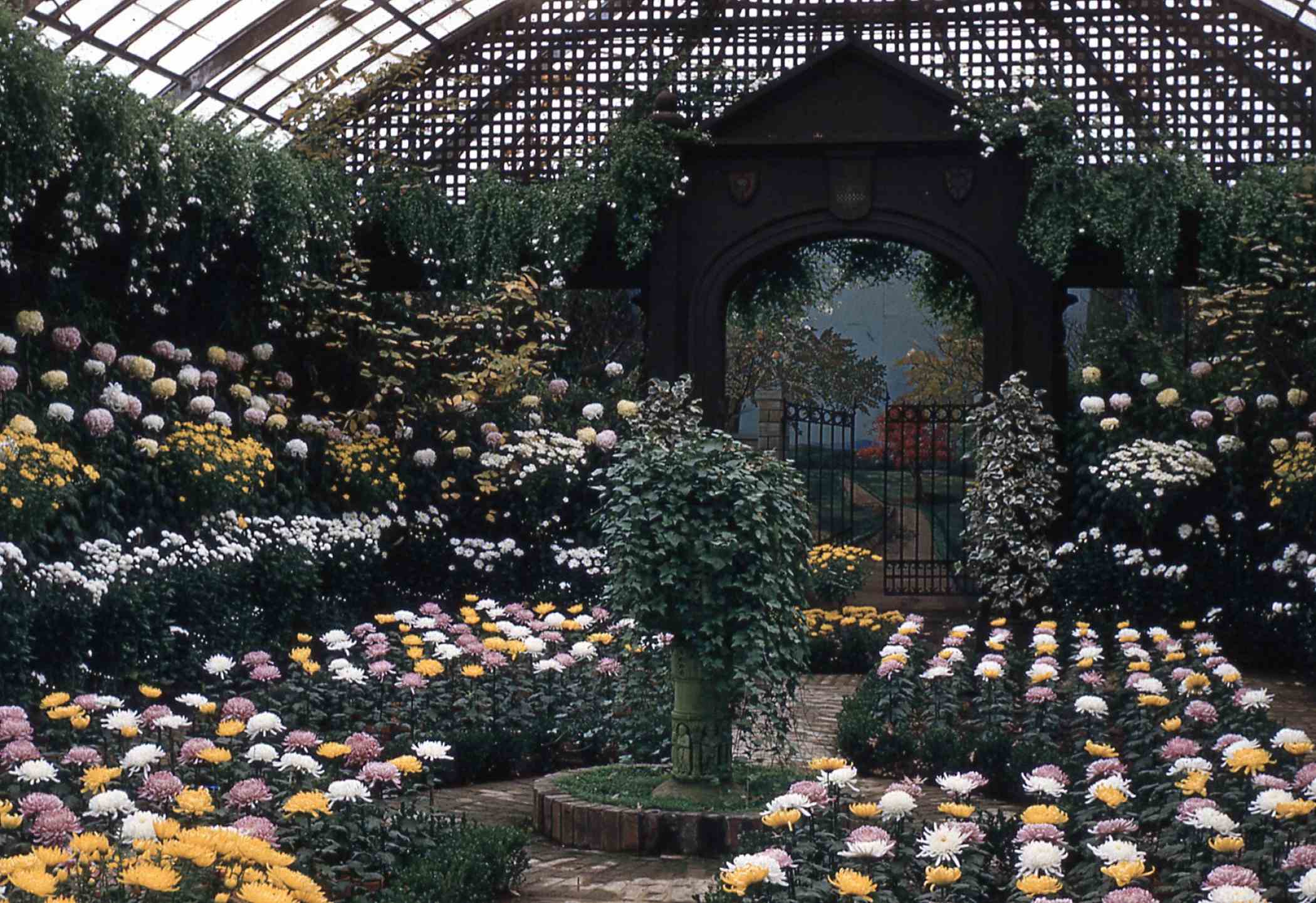 Fall Flower Show 1955 | Phipps Conservatory and Botanical Gardens ...