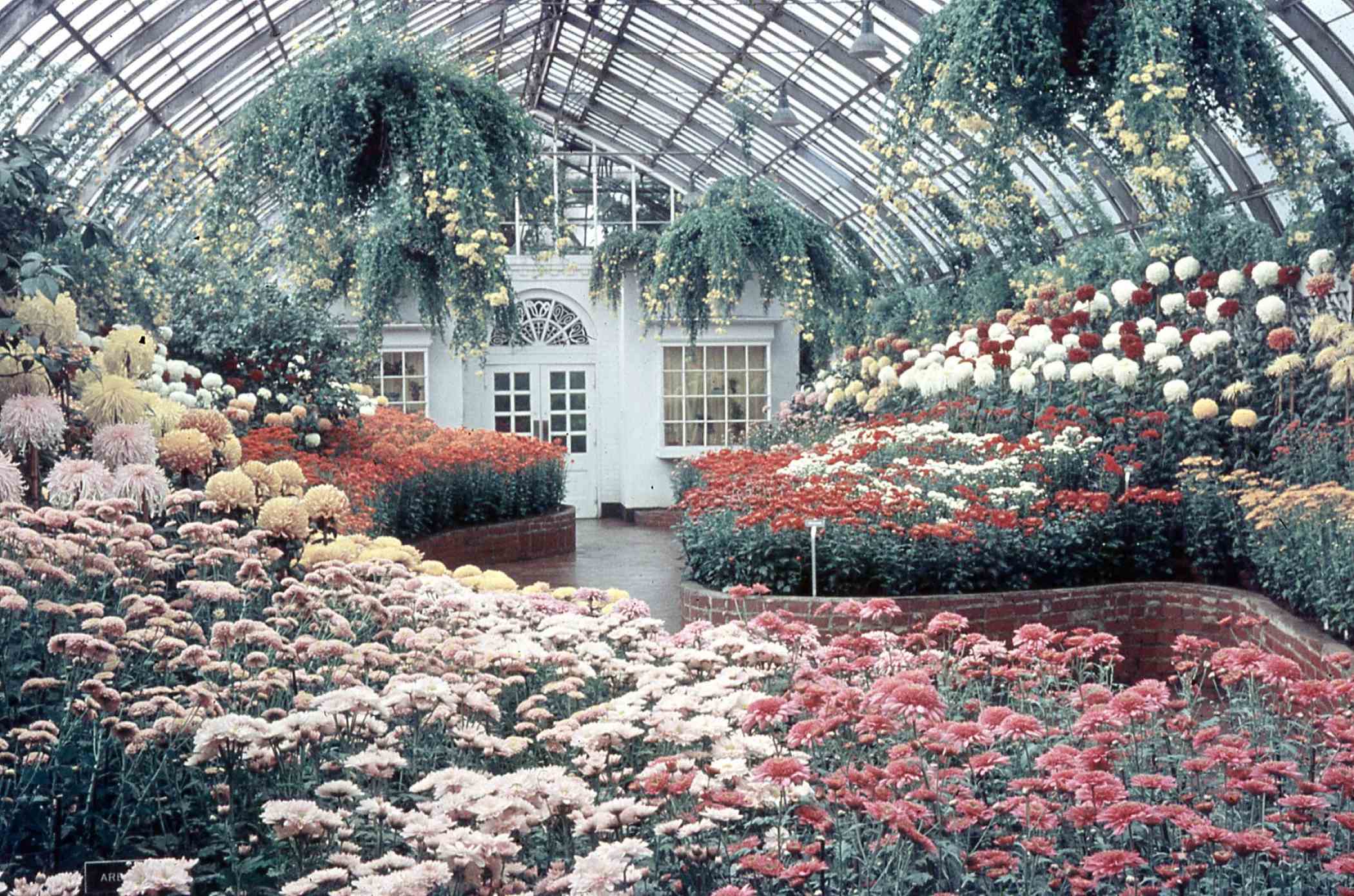Fall Flower Show 1955 | Phipps Conservatory and Botanical Gardens ...