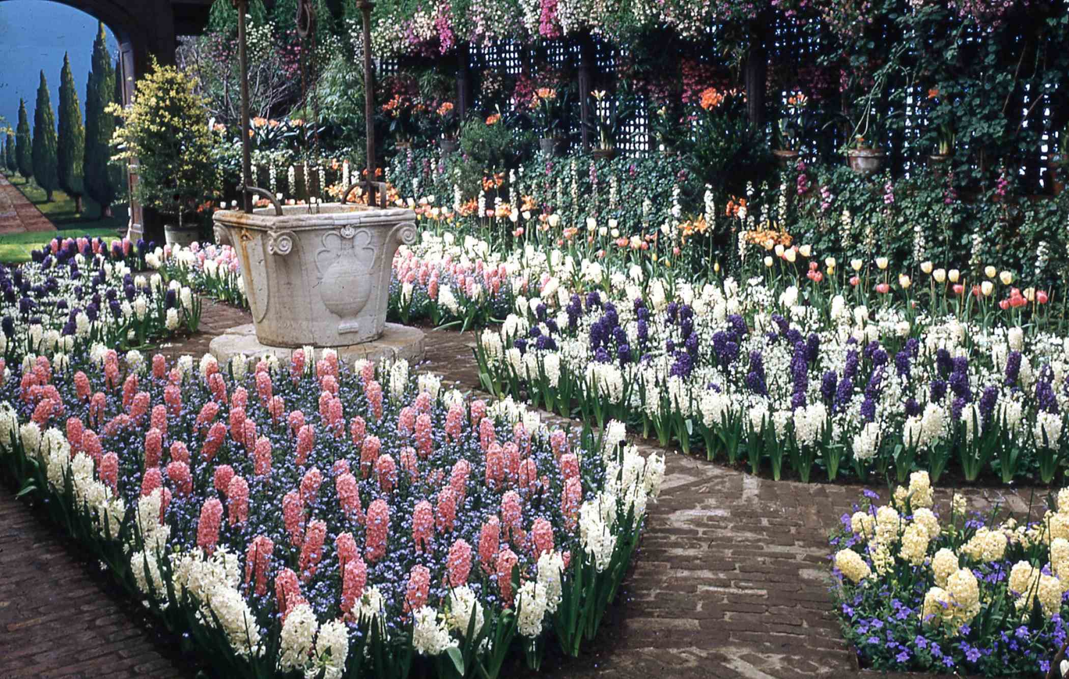 Spring Flower Show 1955: Wearing White for Eastertide | Phipps ...