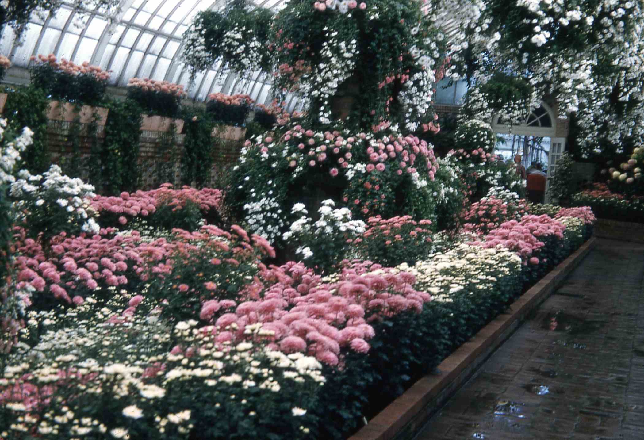 Fall Flower Show 1956: The Pittsburgh Story | Phipps Conservatory and ...