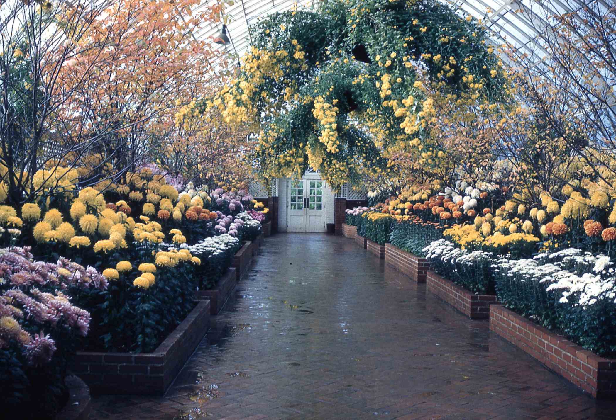 Fall Flower Show 1958 | Phipps Conservatory and Botanical Gardens ...