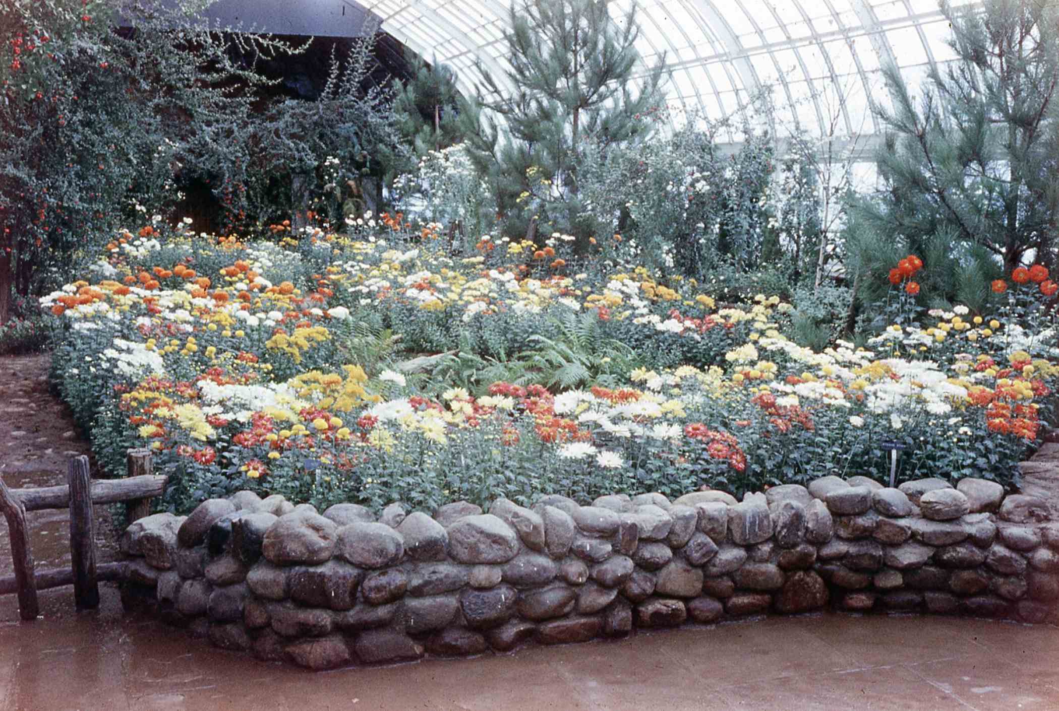 Fall Flower Show 1959 | Phipps Conservatory and Botanical Gardens ...