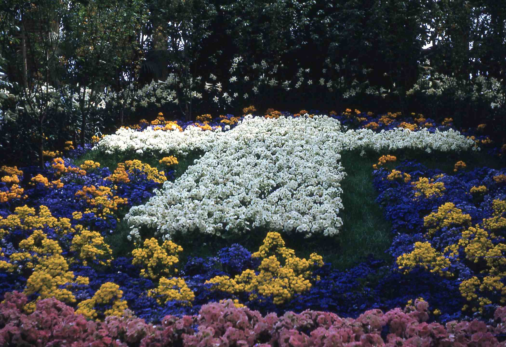 Spring Flower Show 1960 | Phipps Conservatory and Botanical Gardens ...