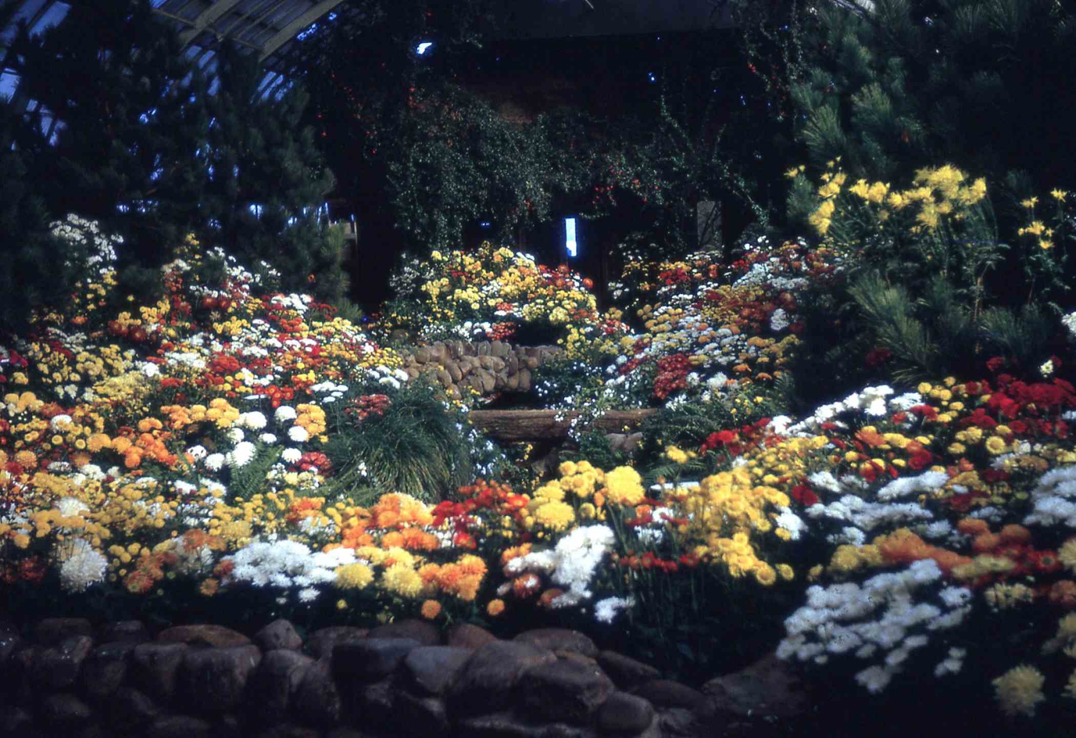 Spring Flower Show 1964 | Phipps Conservatory and Botanical Gardens ...