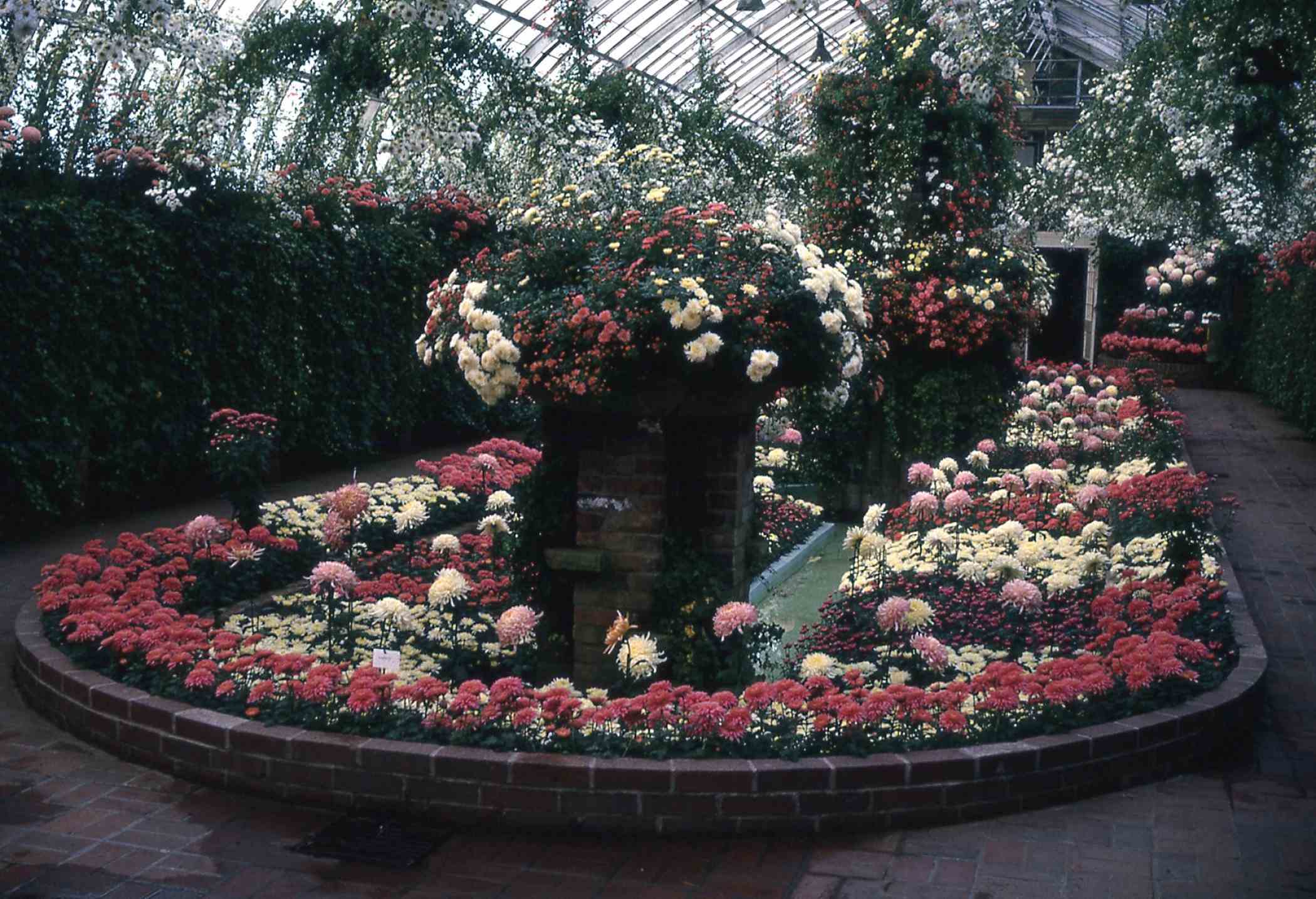Fall Flower Show 1965 | Phipps Conservatory and Botanical Gardens ...