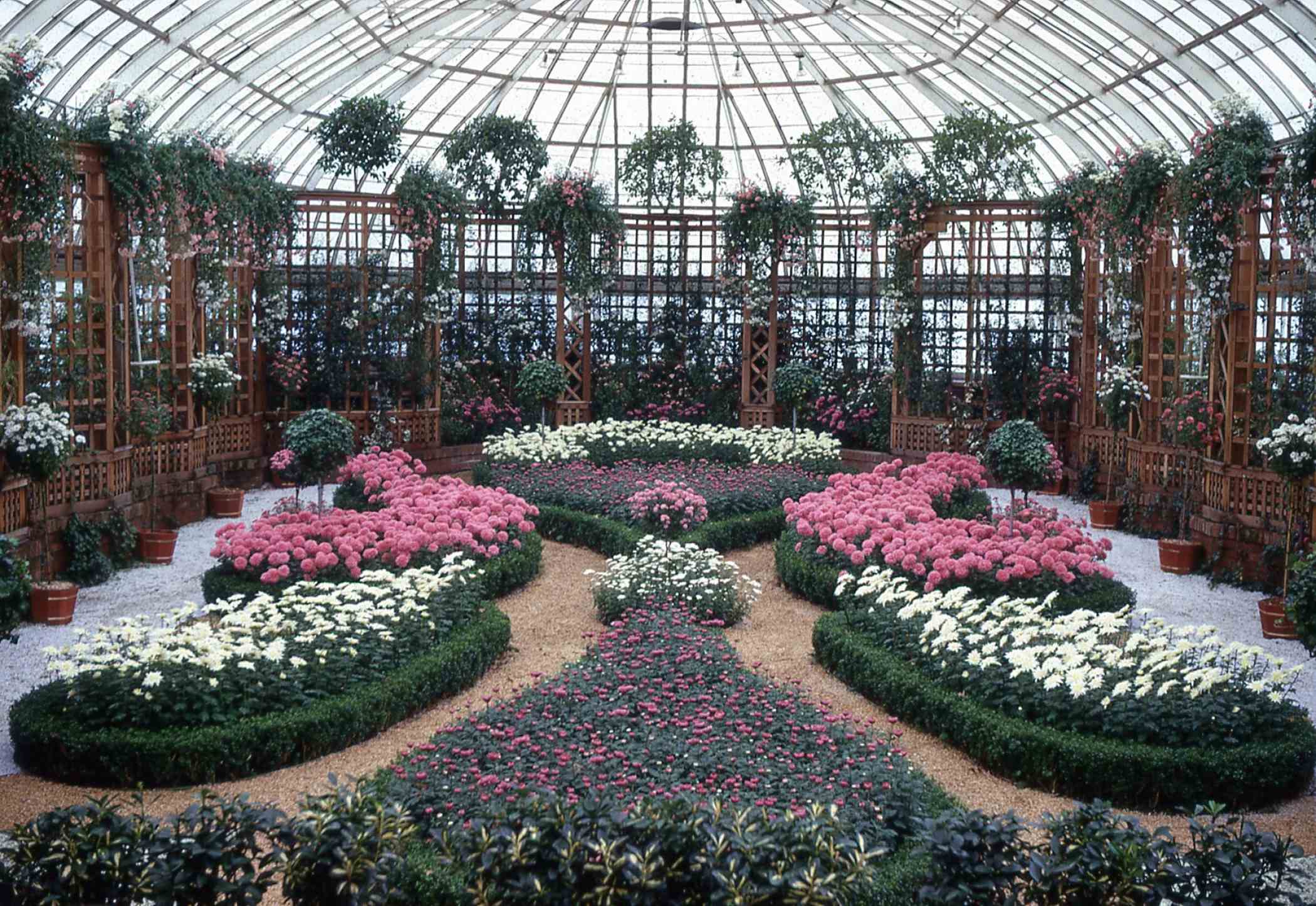 Fall Flower Show 1966 | Phipps Conservatory and Botanical Gardens ...