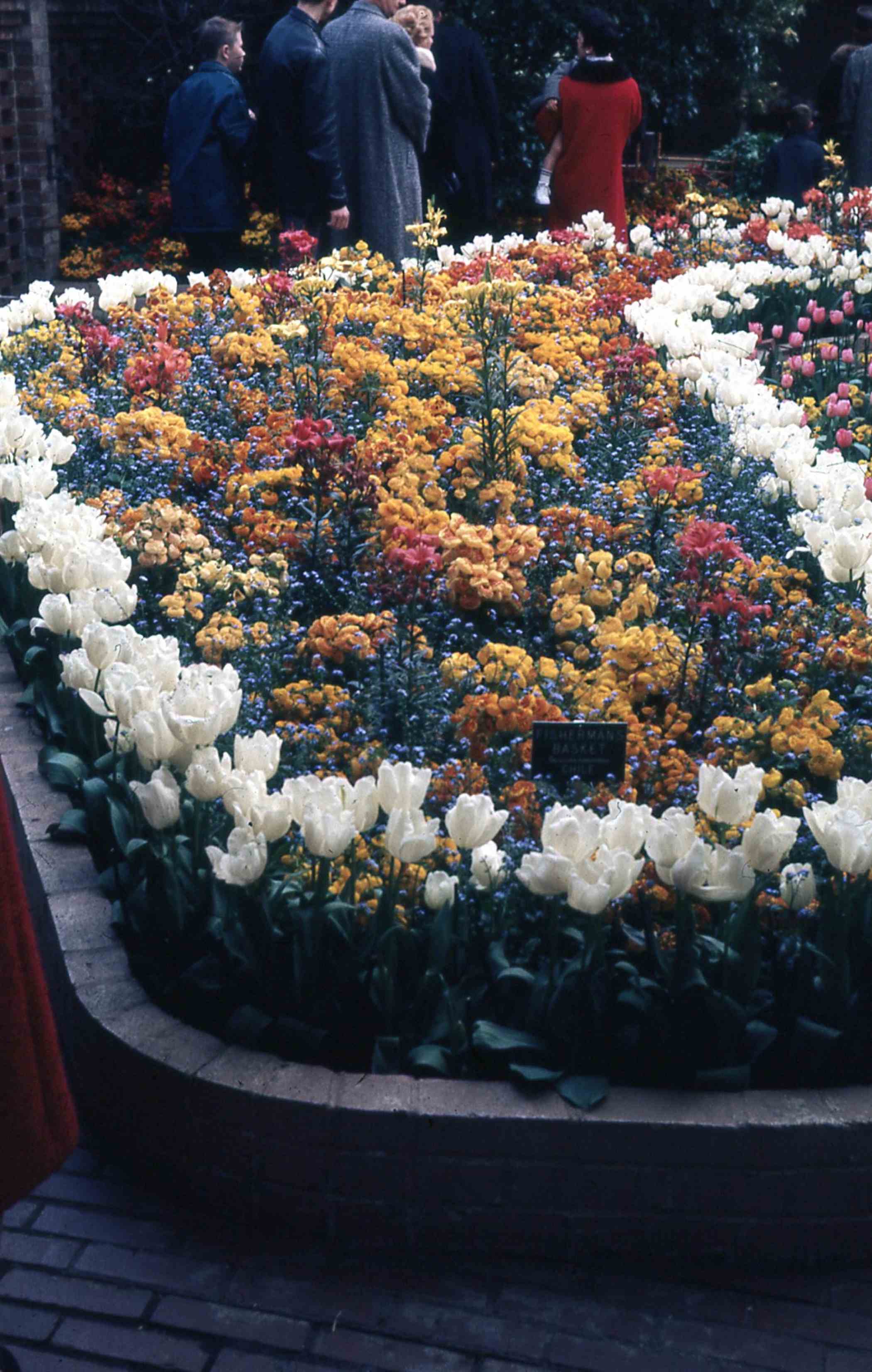 Spring Flower Show 1970 | Phipps Conservatory and Botanical Gardens ...