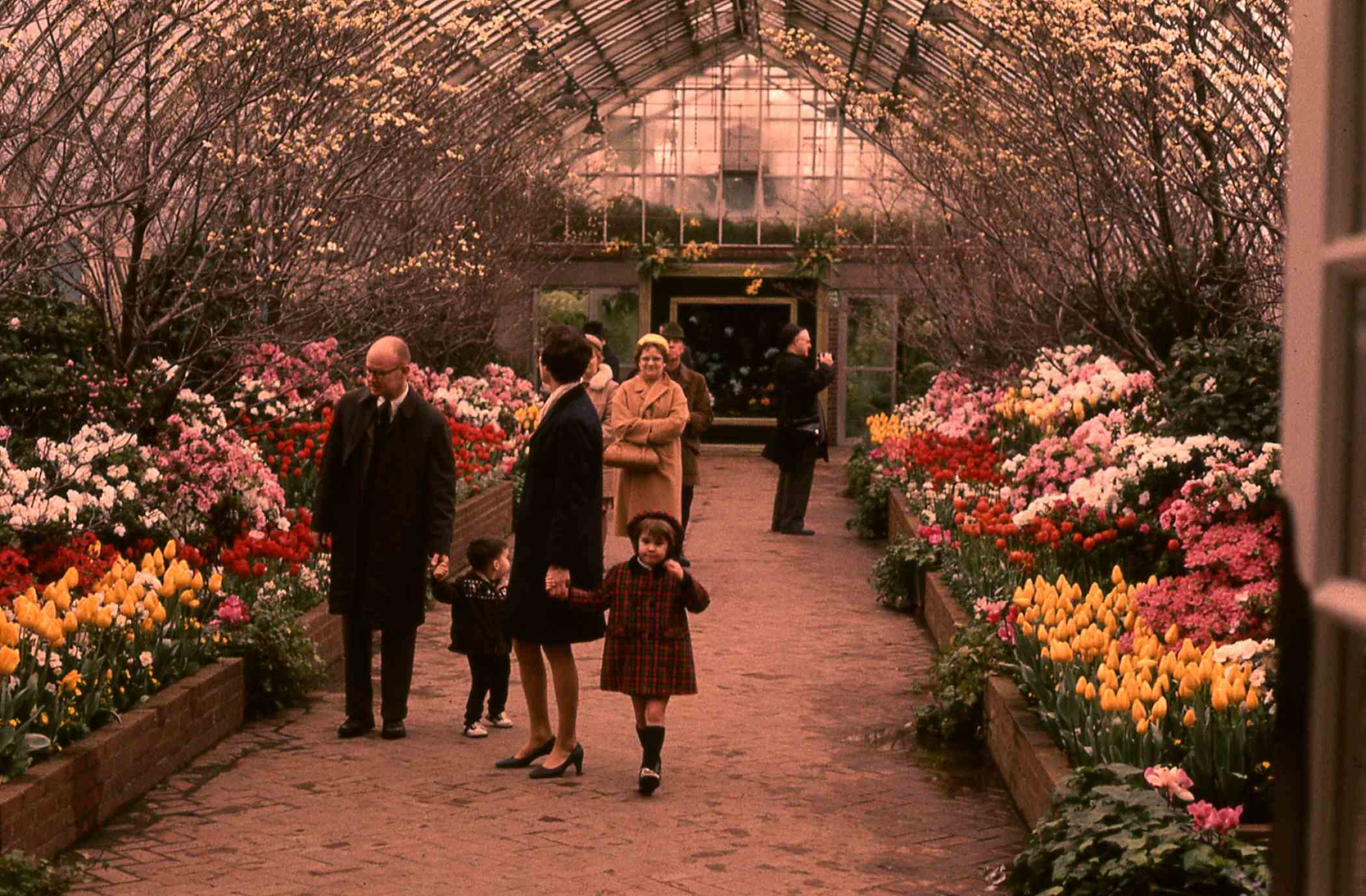 Spring Flower Show 1970 | Phipps Conservatory and Botanical Gardens ...
