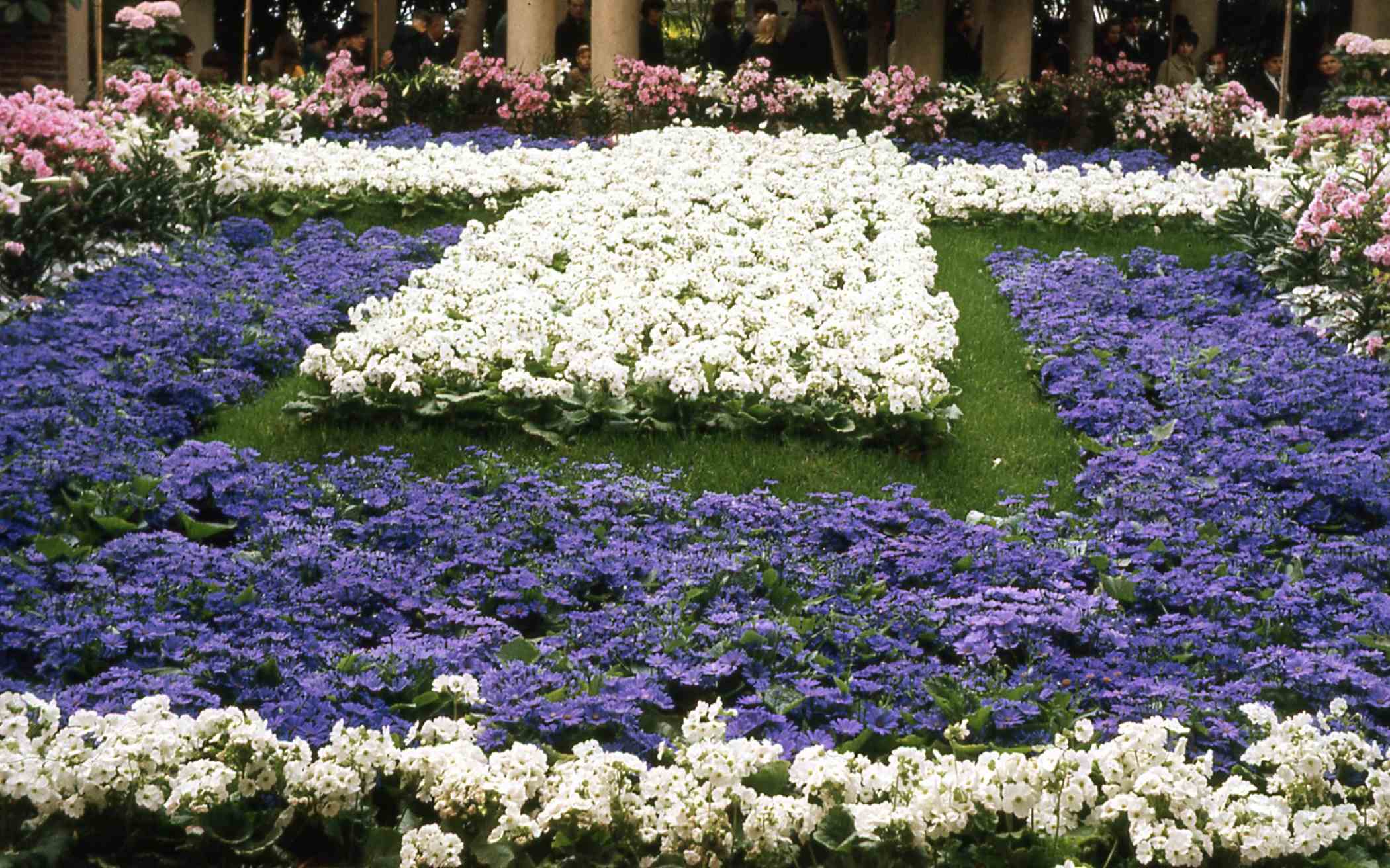 Spring Flower Show 1970 | Phipps Conservatory and Botanical Gardens ...