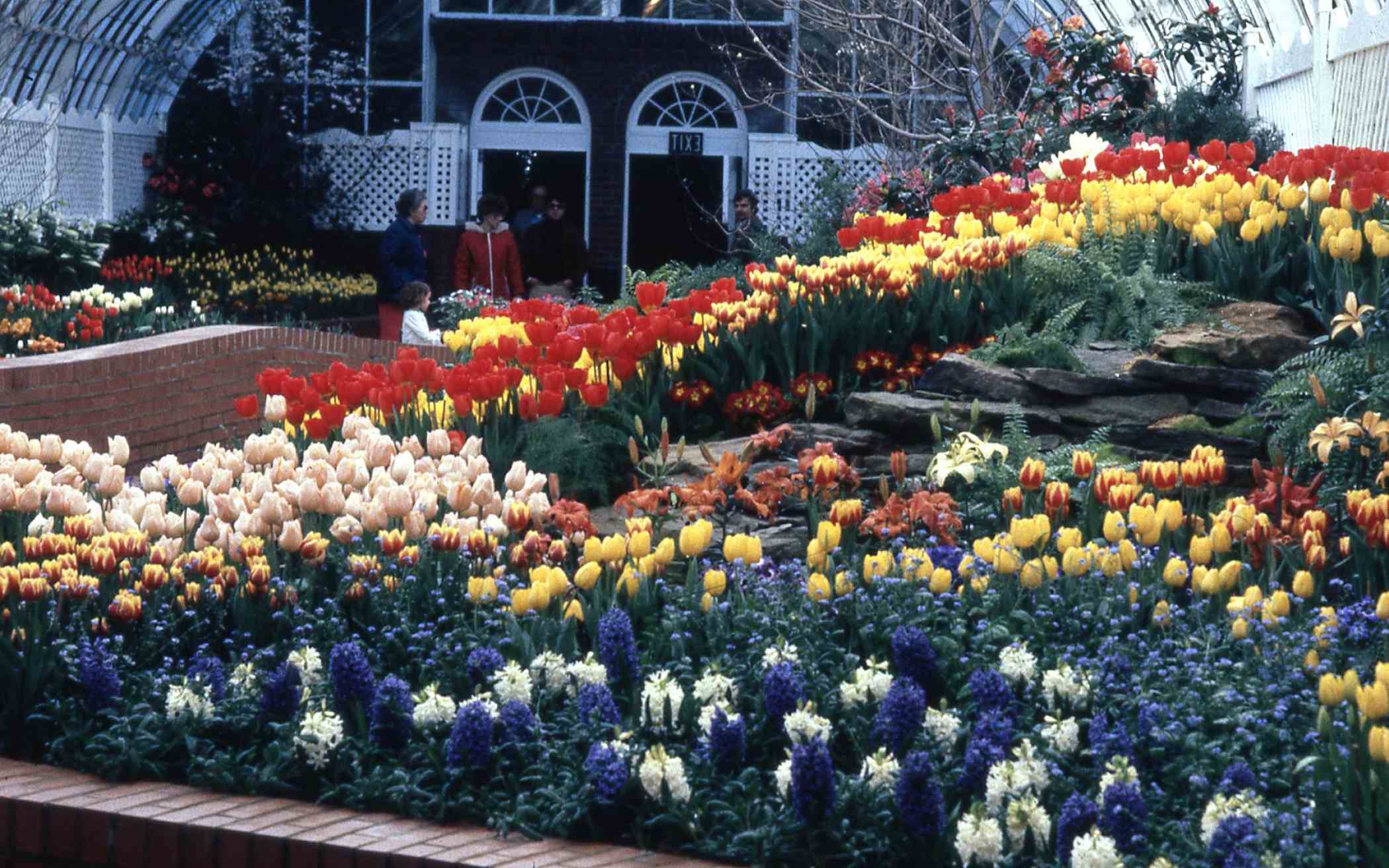 Spring Flower Show 1981 | Phipps Conservatory and Botanical Gardens ...