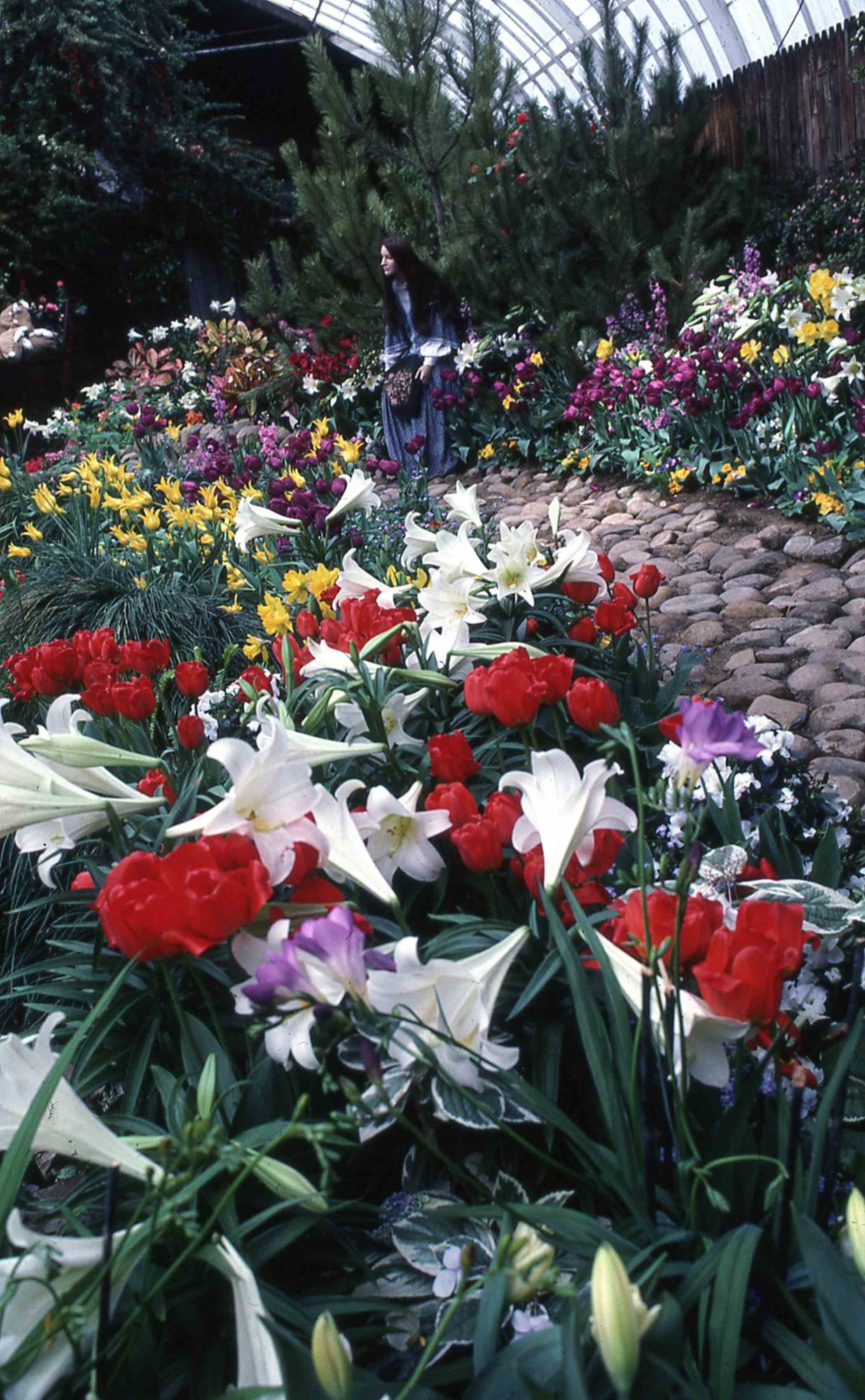 Spring Flower Show 1987 | Phipps Conservatory and Botanical Gardens ...