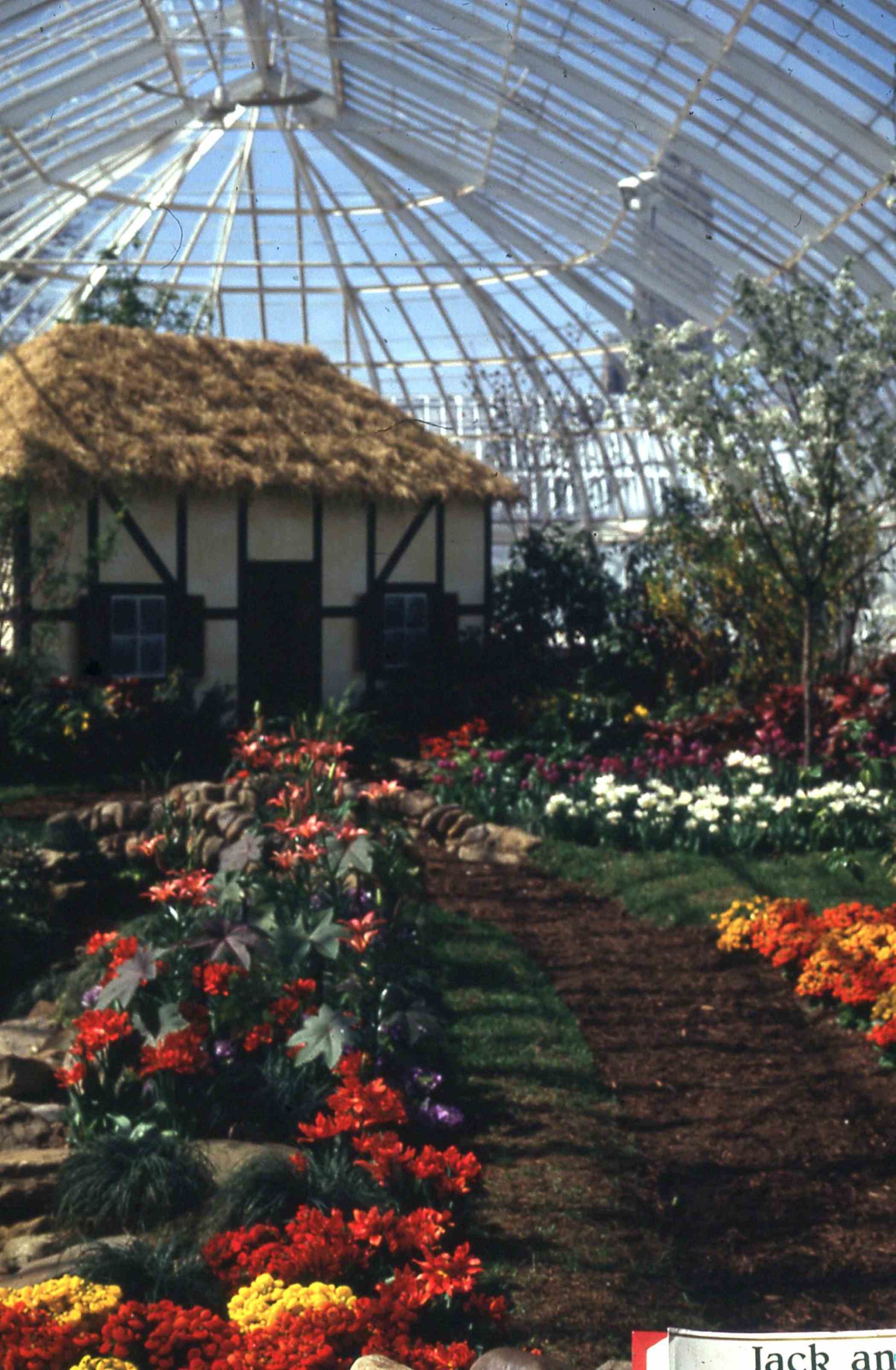 Spring Flower Show 1992: Plantasia | Phipps Conservatory and Botanical ...