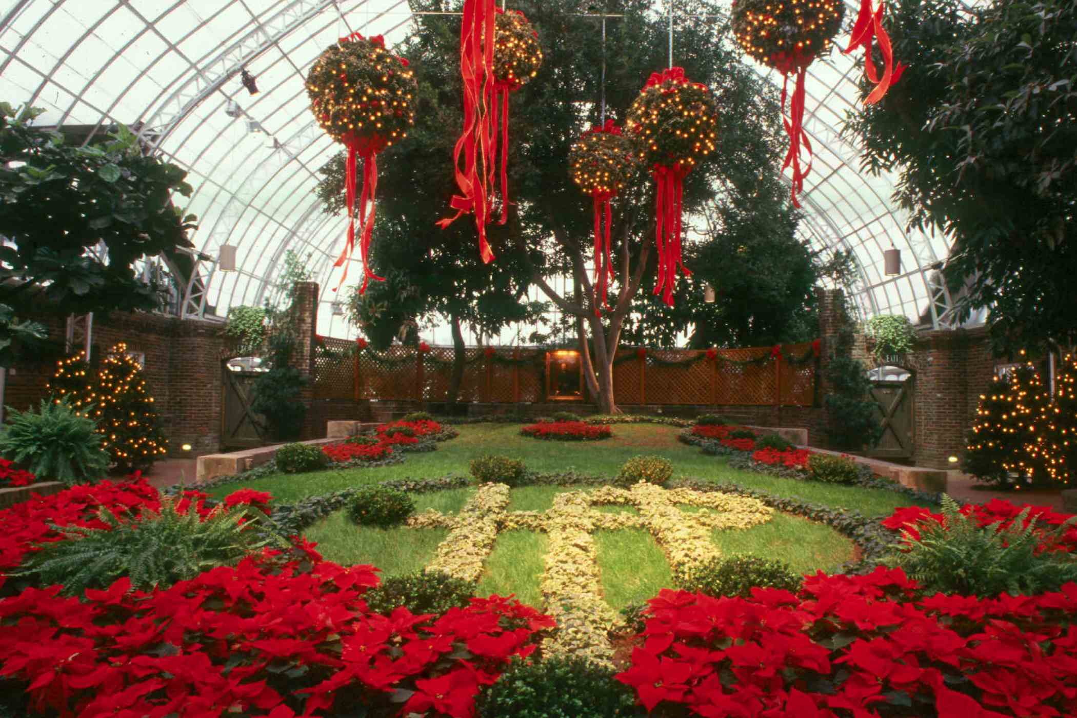 Winter Flower Show 1993 | Phipps Conservatory and Botanical Gardens ...
