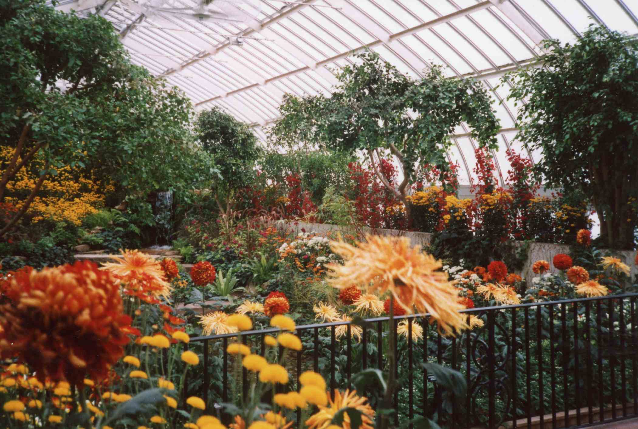 Fall Flower Show 2001: Rhapsody in Bloom | Phipps Conservatory and ...