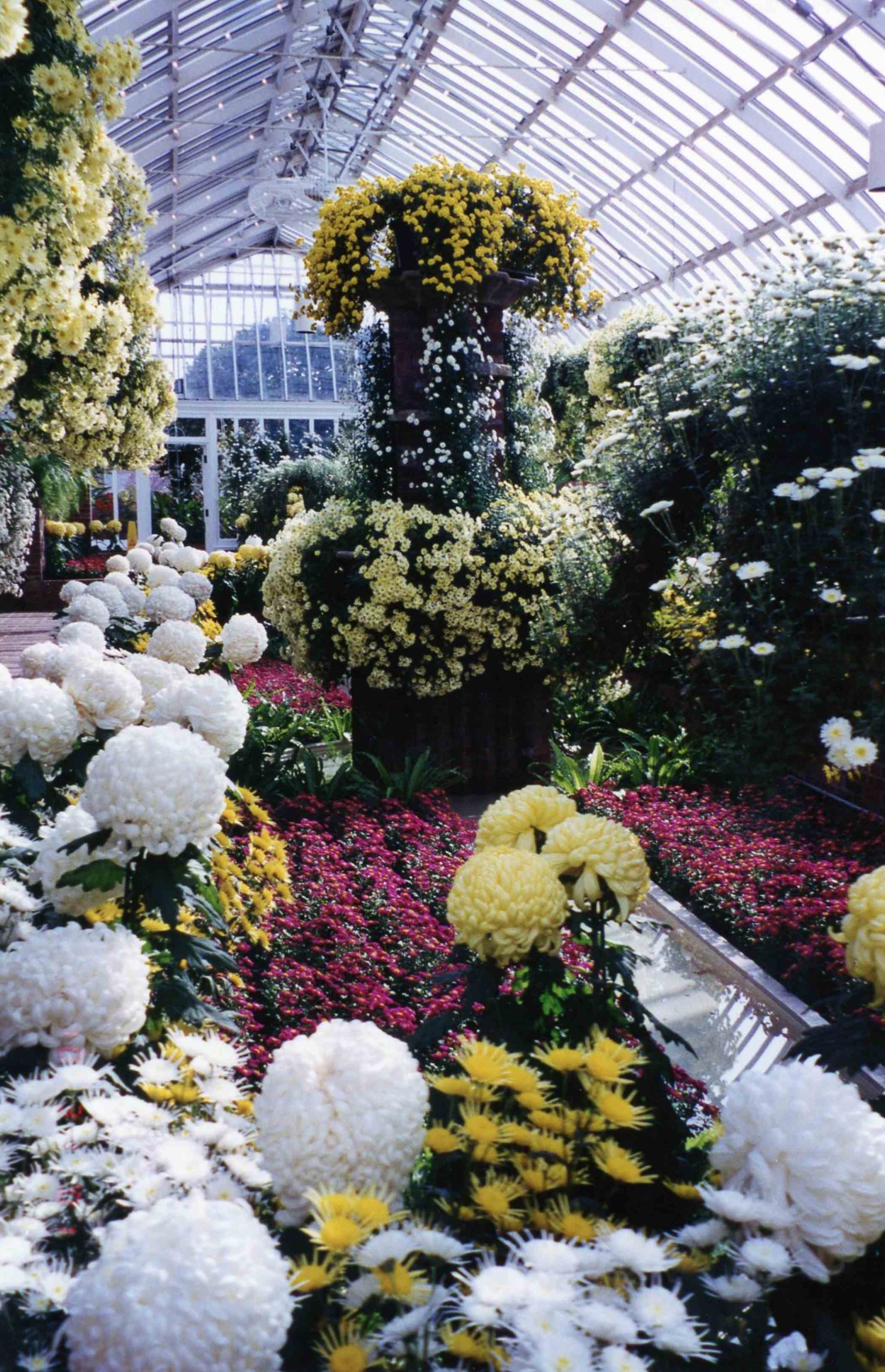 Fall Flower Show 2001: Rhapsody in Bloom | Phipps Conservatory and ...