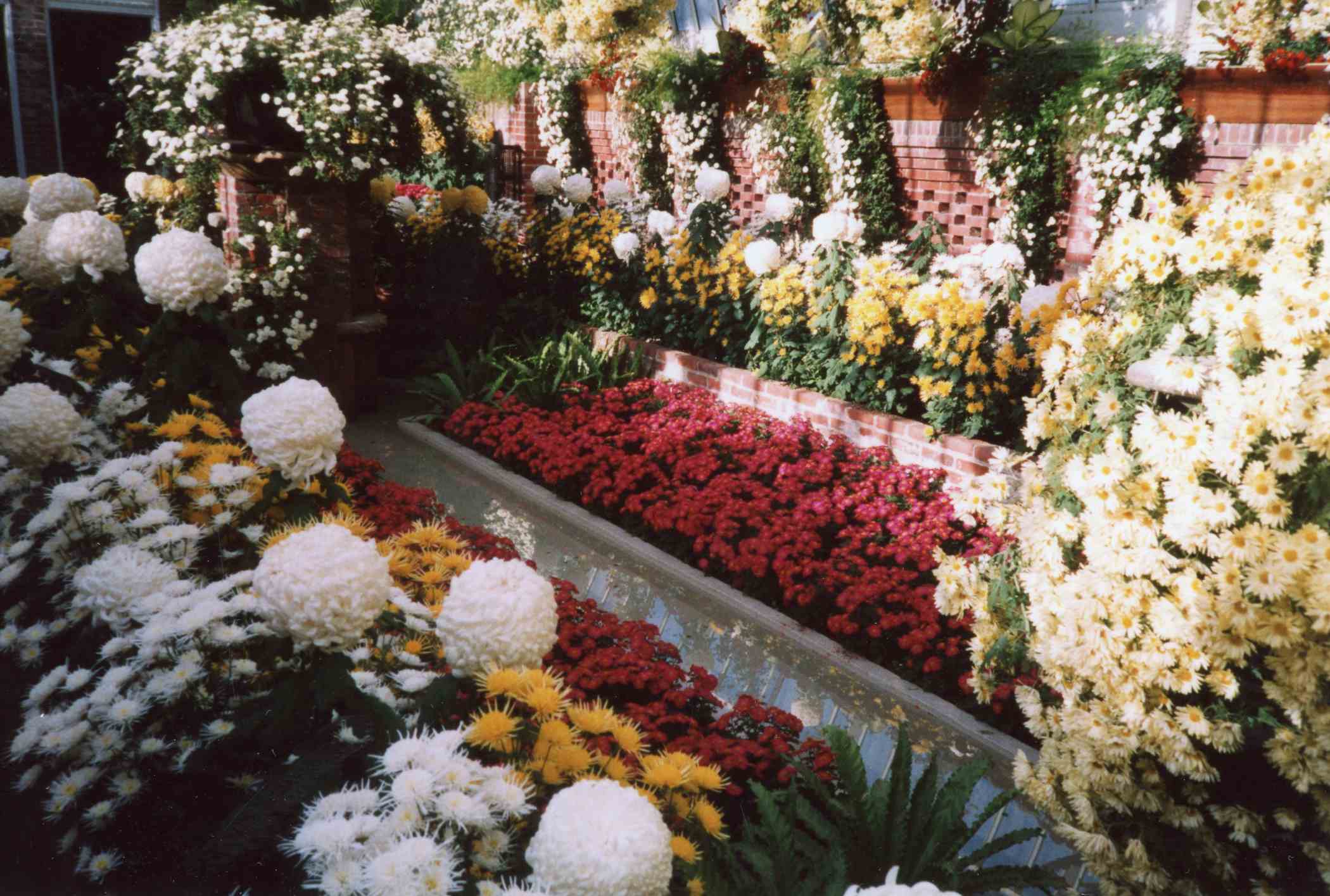 Fall Flower Show 2001: Rhapsody in Bloom | Phipps Conservatory and ...