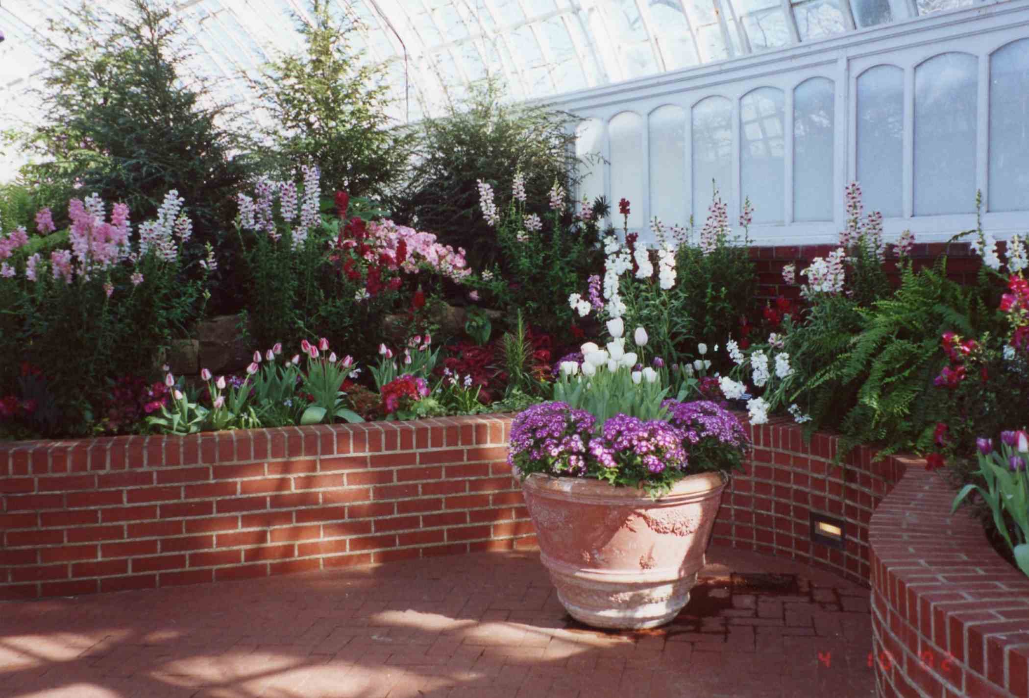 Spring Flower Show 2002: The Colors of Sunlight | Phipps Conservatory ...