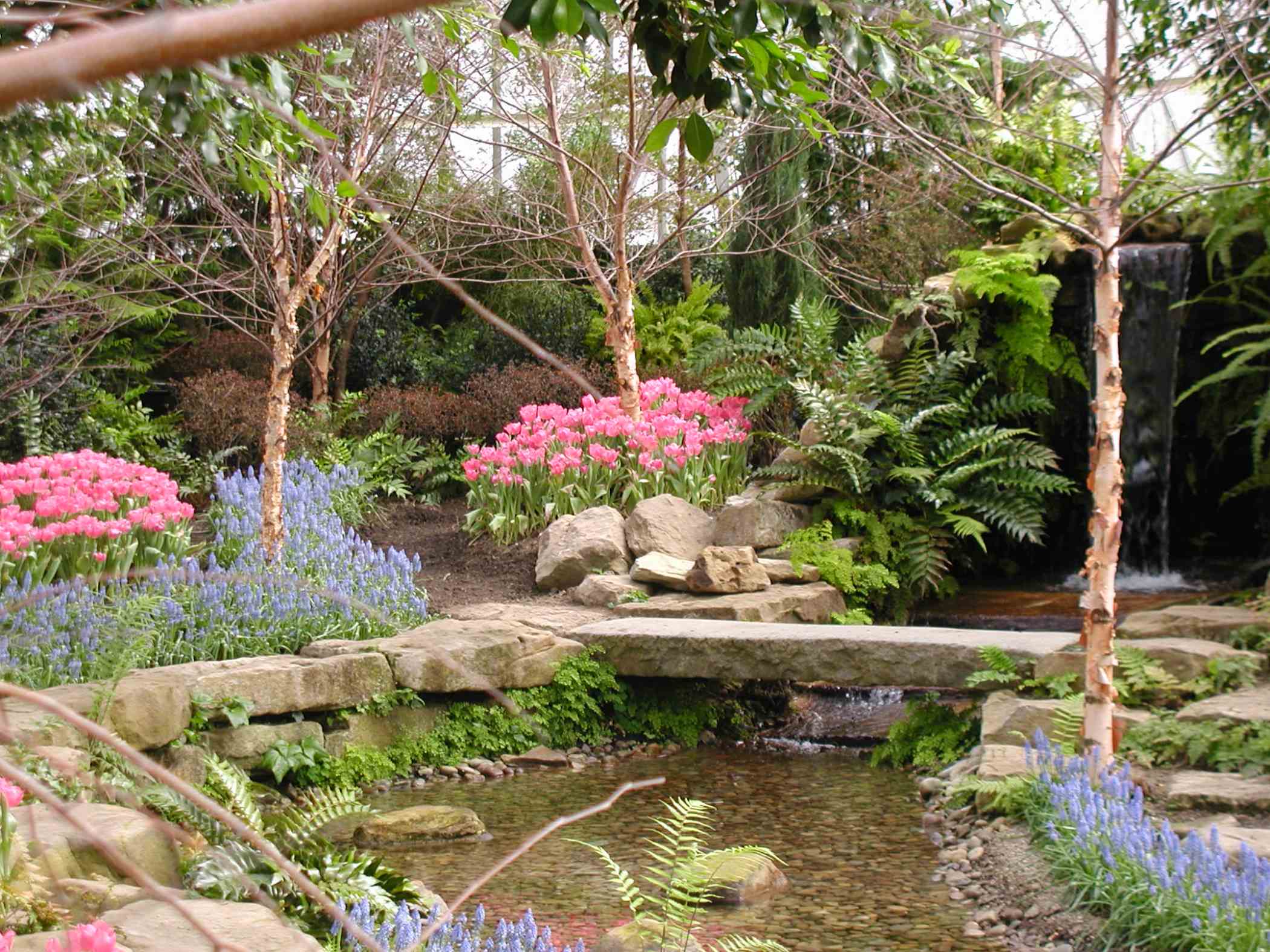 Spring Flower Show 2004: Splashes of Spring | Phipps Conservatory and ...