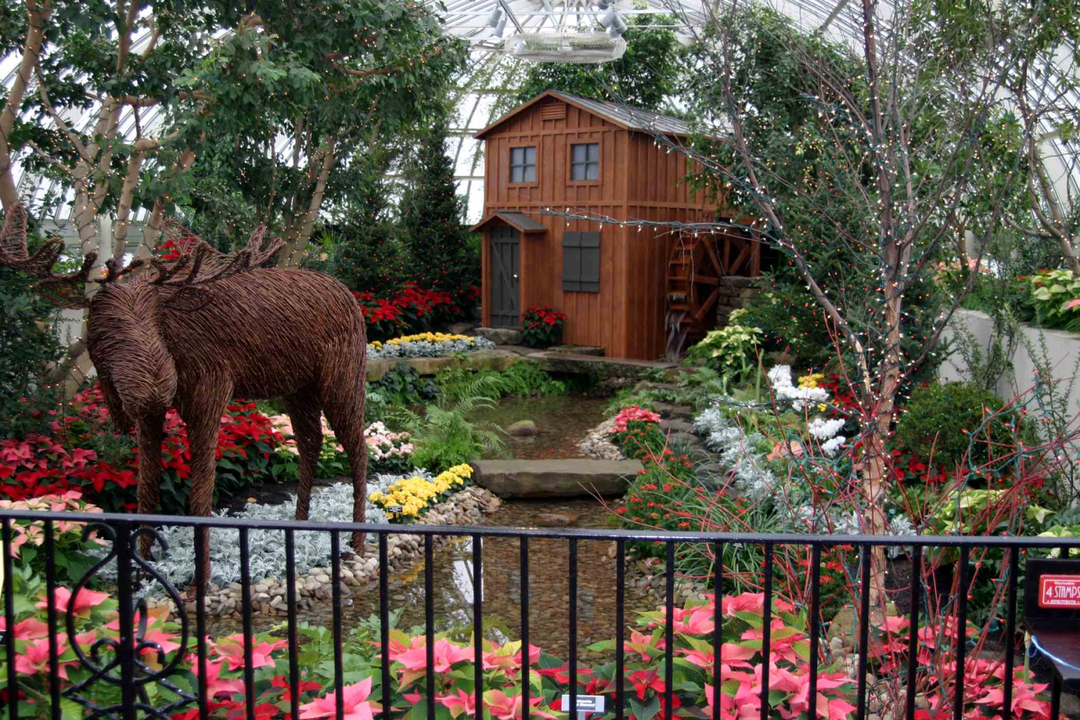 Winter Flower Show 2004: Nature’s Holiday | Phipps Conservatory and ...