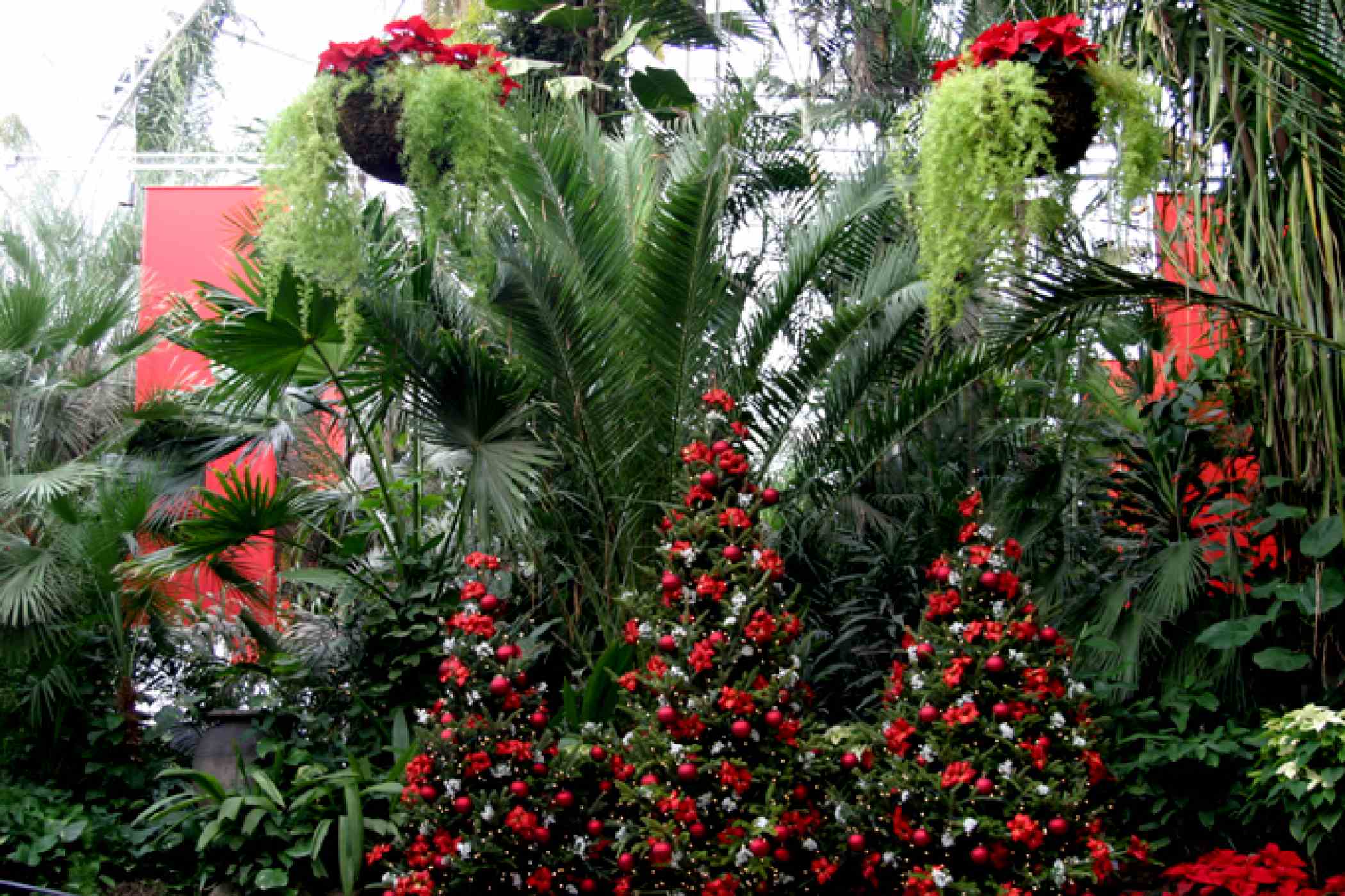 Winter Flower Show 2004: Nature’s Holiday | Phipps Conservatory and ...