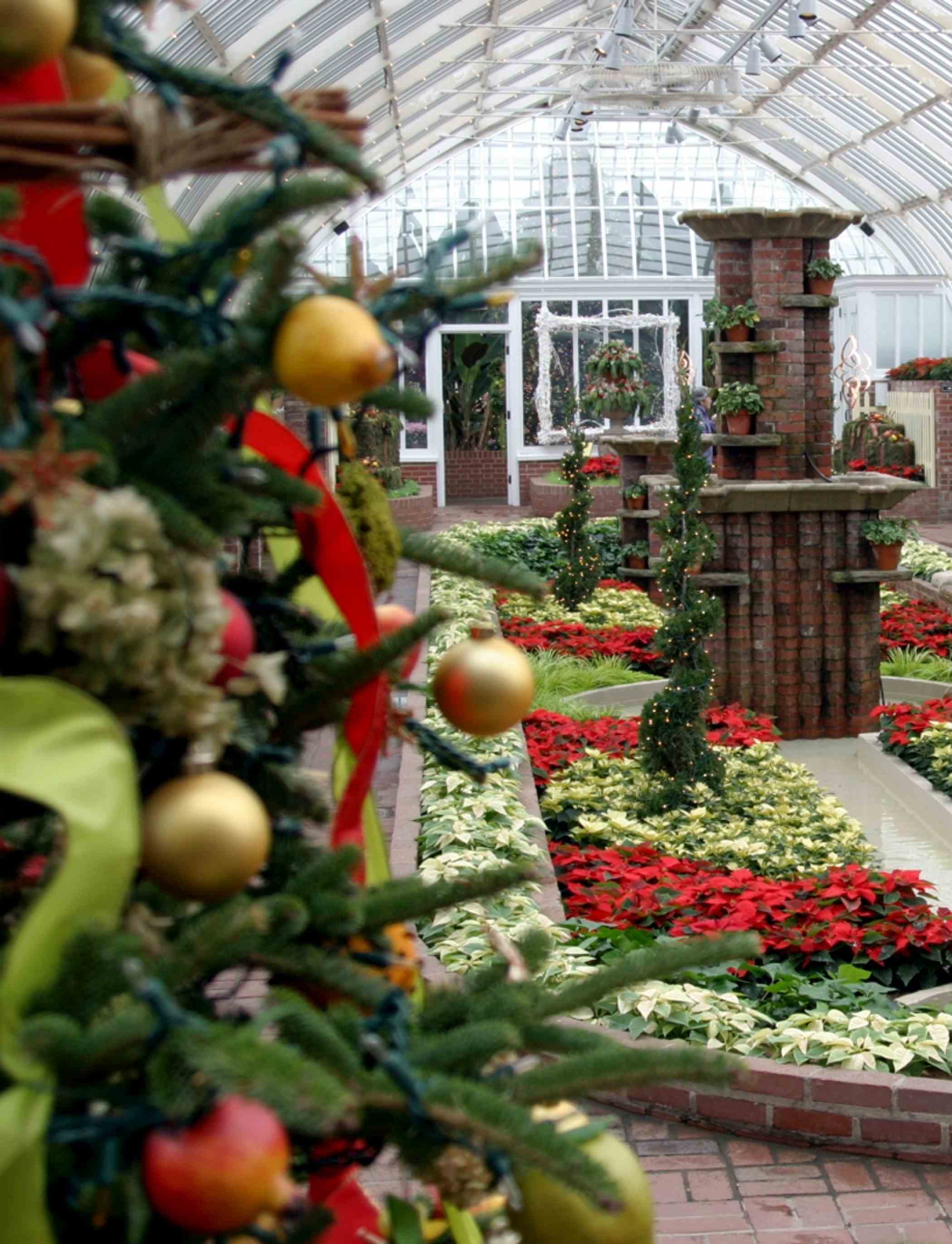 Winter Flower Show 2004: Nature’s Holiday | Phipps Conservatory and ...