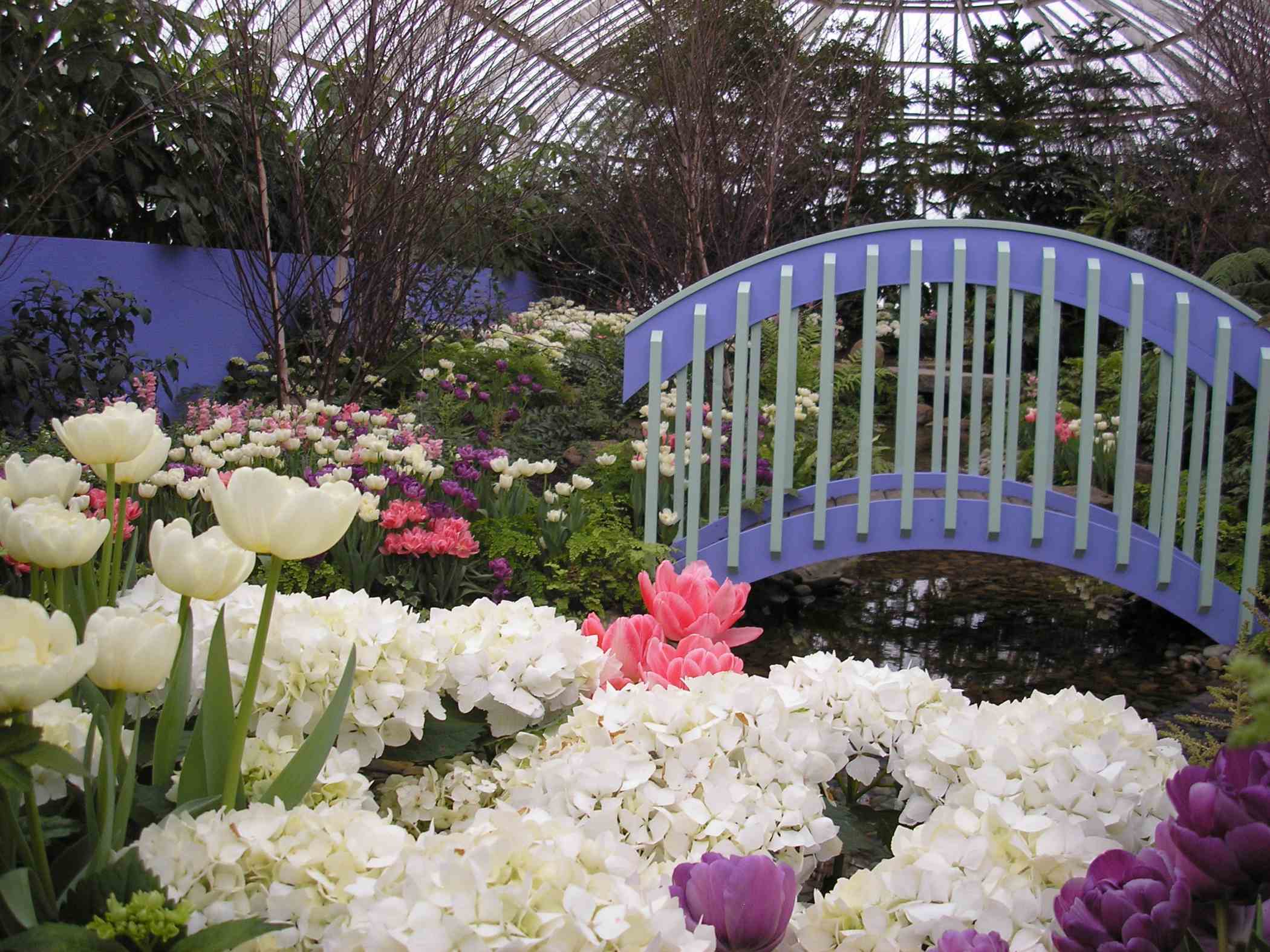 Spring Flower Show 2007: Proverbs in Bloom | Phipps Conservatory and ...