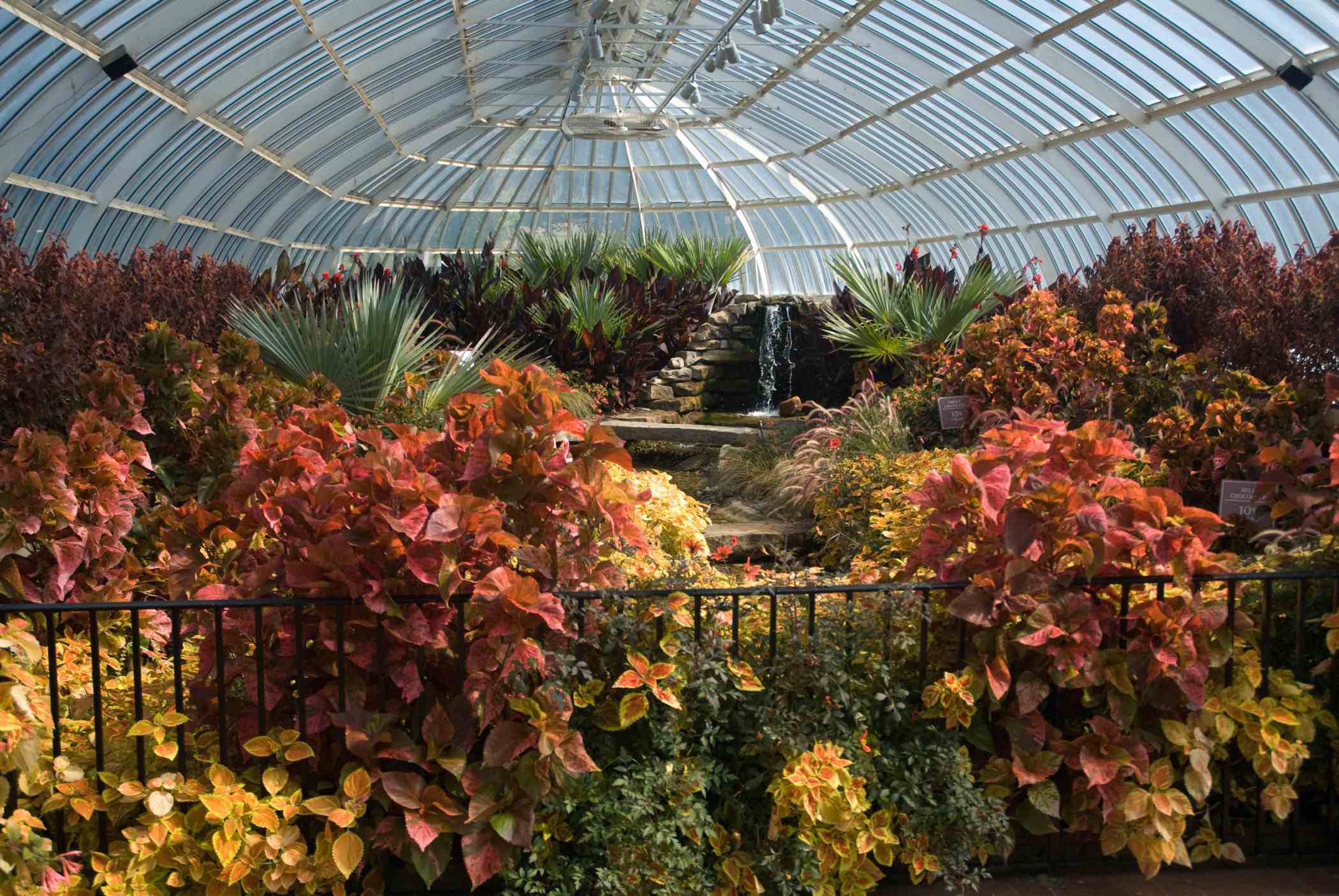 Fall Flower Show 2008 | Phipps Conservatory and Botanical Gardens ...