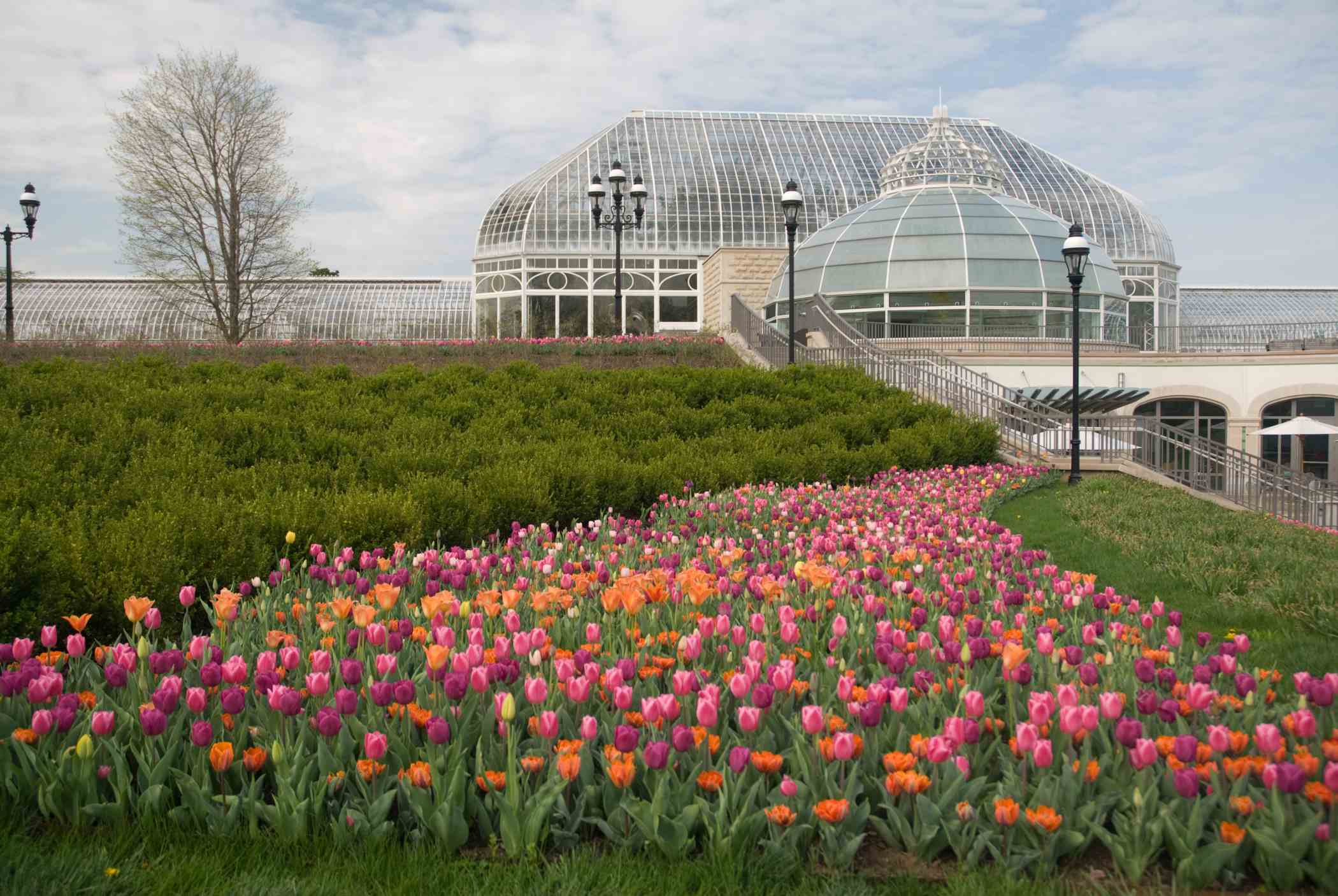 Spring Flower Show 2008 | Phipps Conservatory and Botanical Gardens ...
