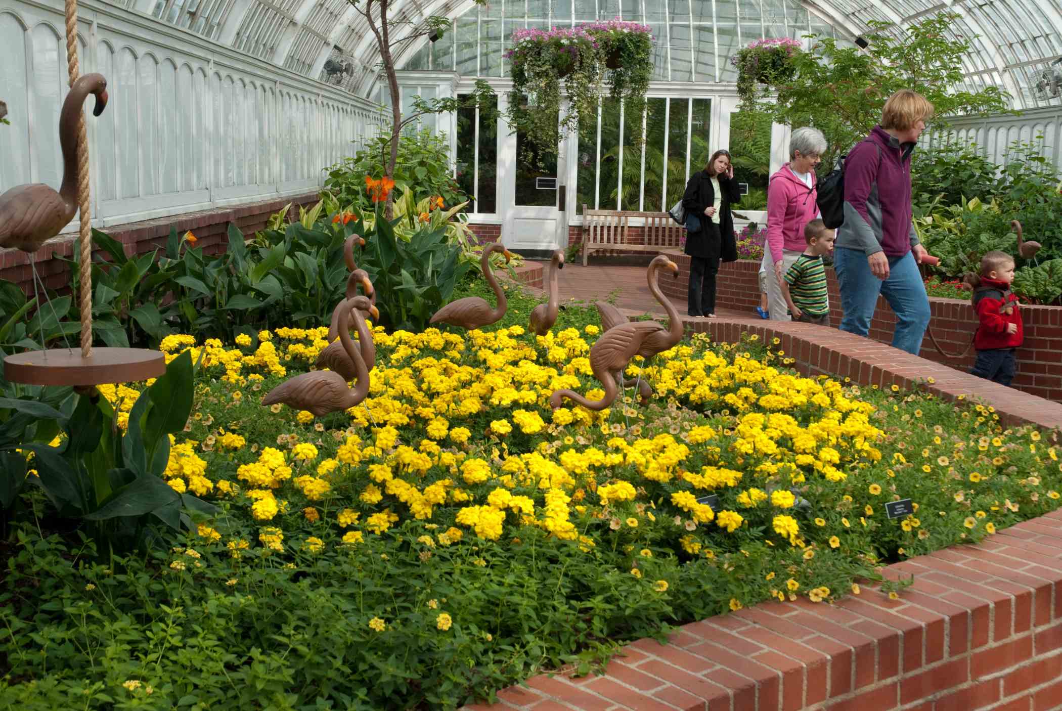 Summer Flower Show 2008: Chocolate! | Phipps Conservatory and Botanical ...