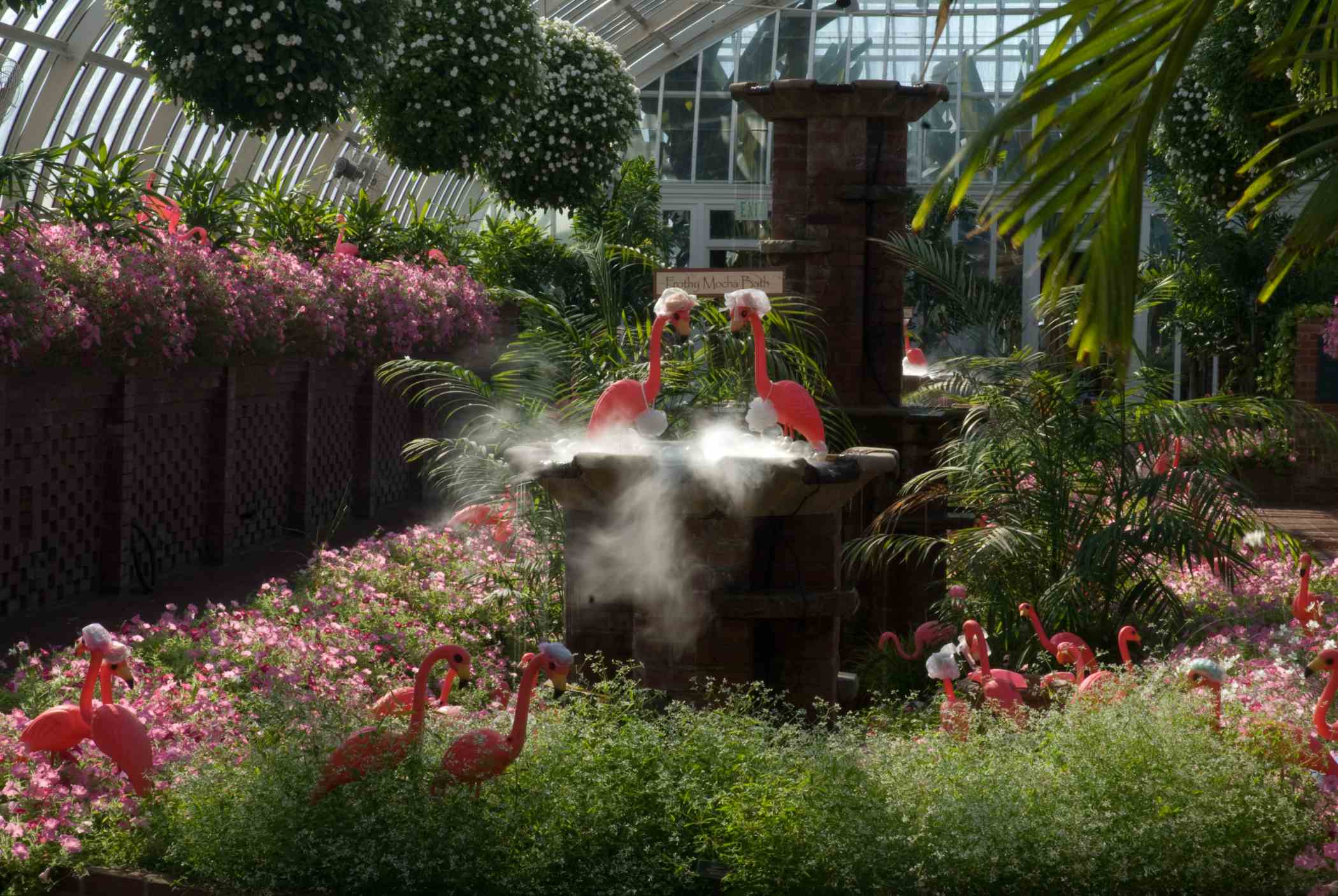 Summer Flower Show 2008: Chocolate! | Phipps Conservatory and Botanical ...