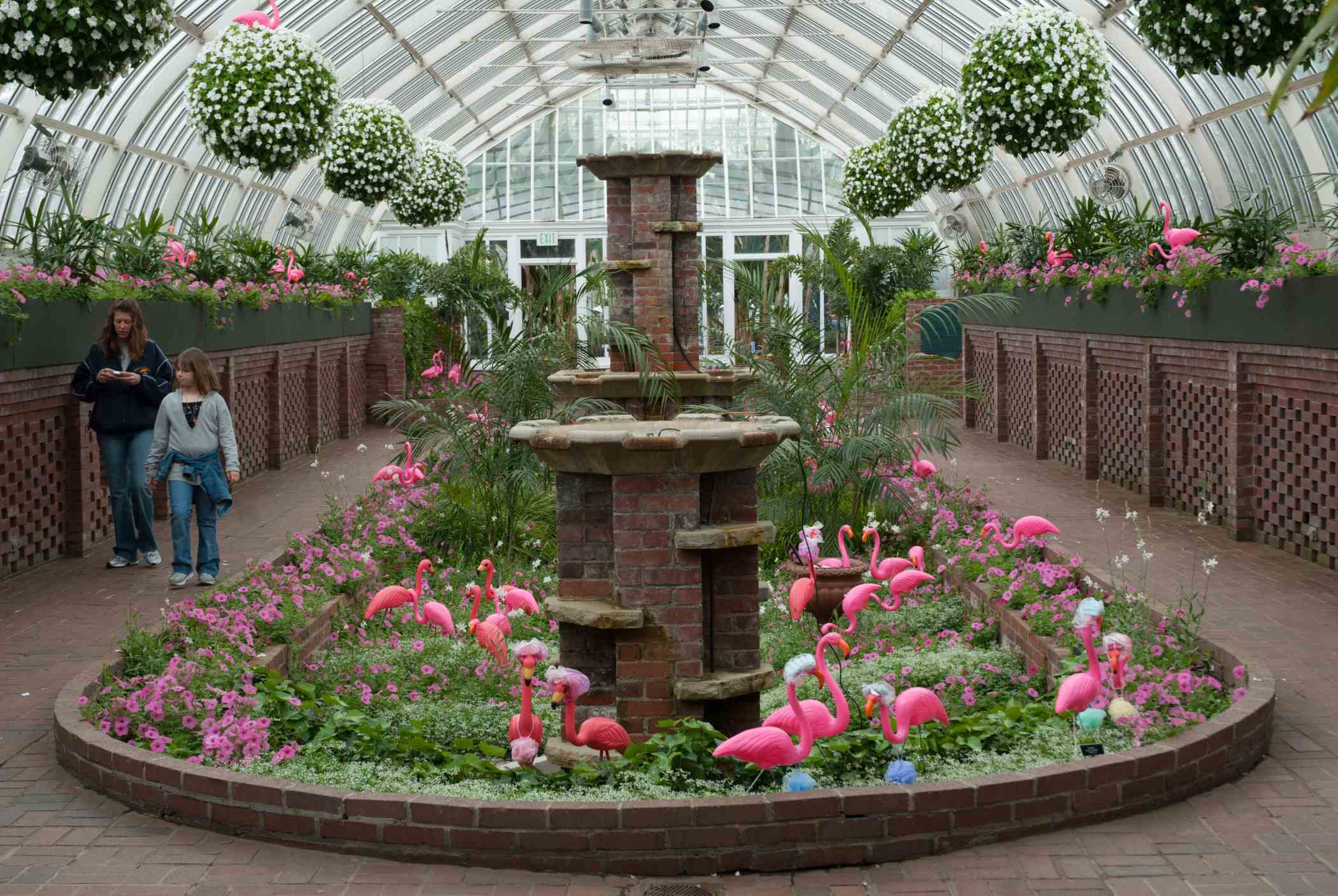 Summer Flower Show 2008: Chocolate! | Phipps Conservatory and Botanical ...