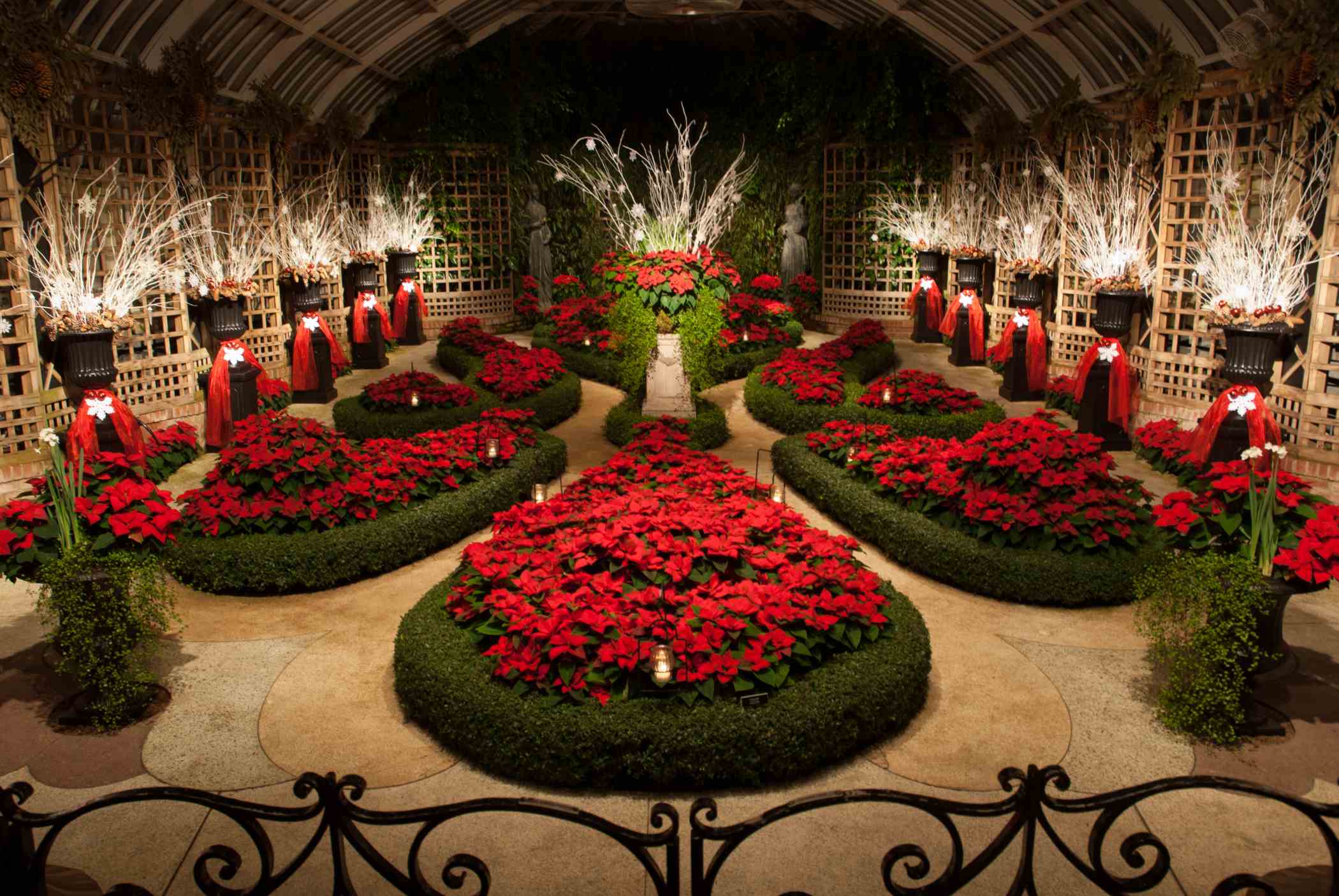 Winter Flower Show 2008: Holiday Celebration | Phipps Conservatory and ...