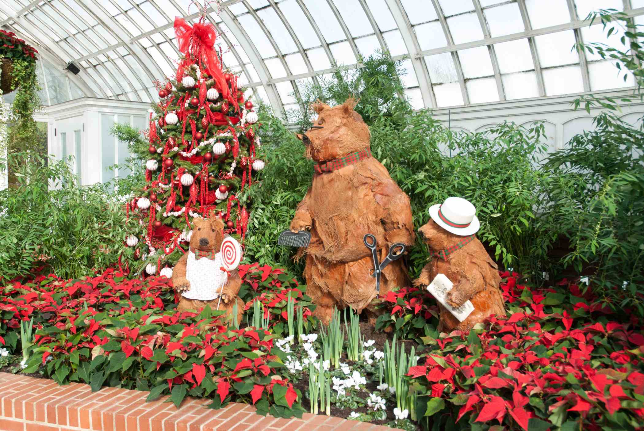 Winter Flower Show 2008: Holiday Celebration | Phipps Conservatory and ...
